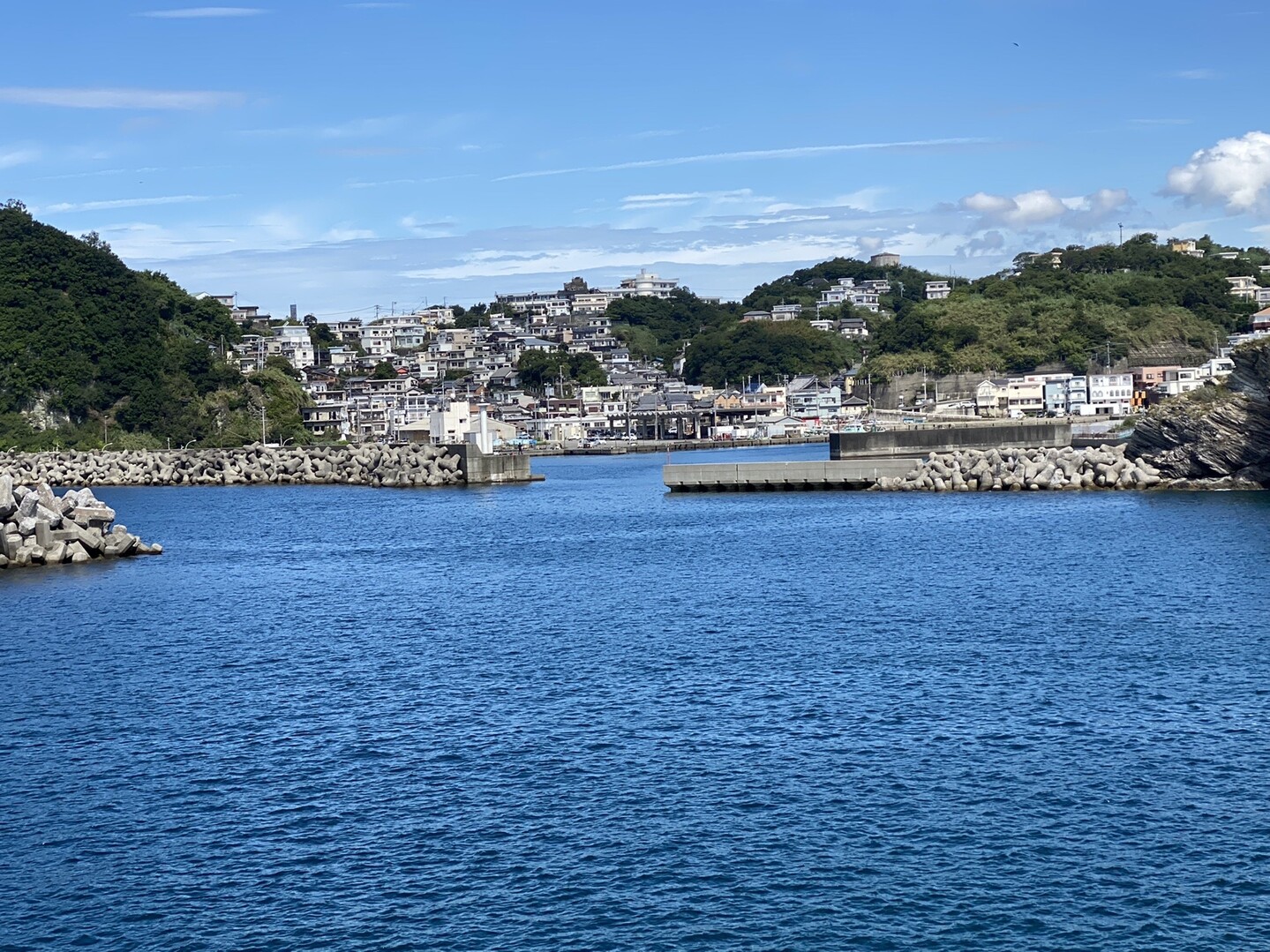 おはよう🌞😃🐟が見える和歌山のアマ... / かよママさんのモーメント | YAMAP / ヤマップ