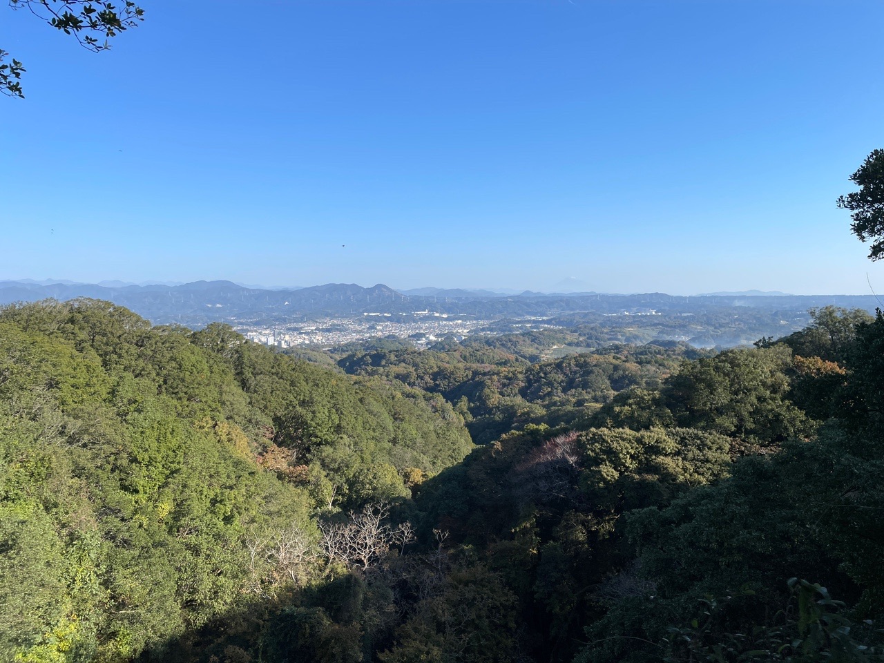 小笠山 / TKC90さんの小笠山の活動データ | YAMAP / ヤマップ