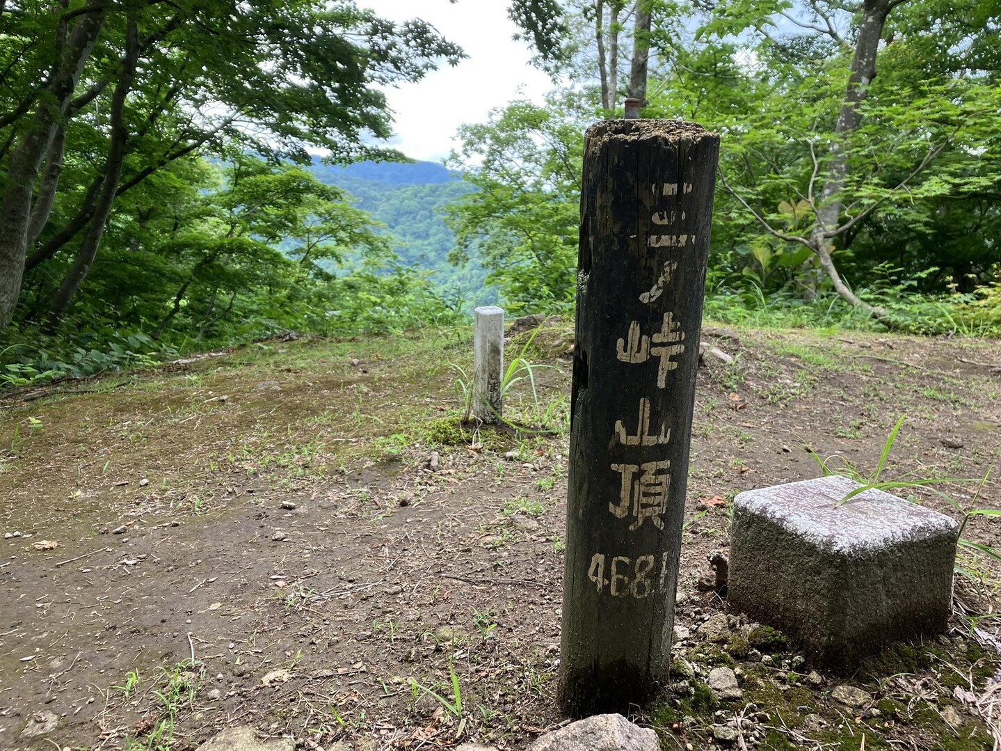 三ノ峠山 / PONさんの鋸山・三ノ峠山・八方台の活動データ | YAMAP / ヤマップ