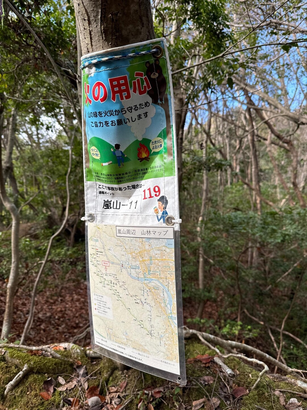 EIさんの投稿したフィールドメモ | YAMAP / ヤマップ