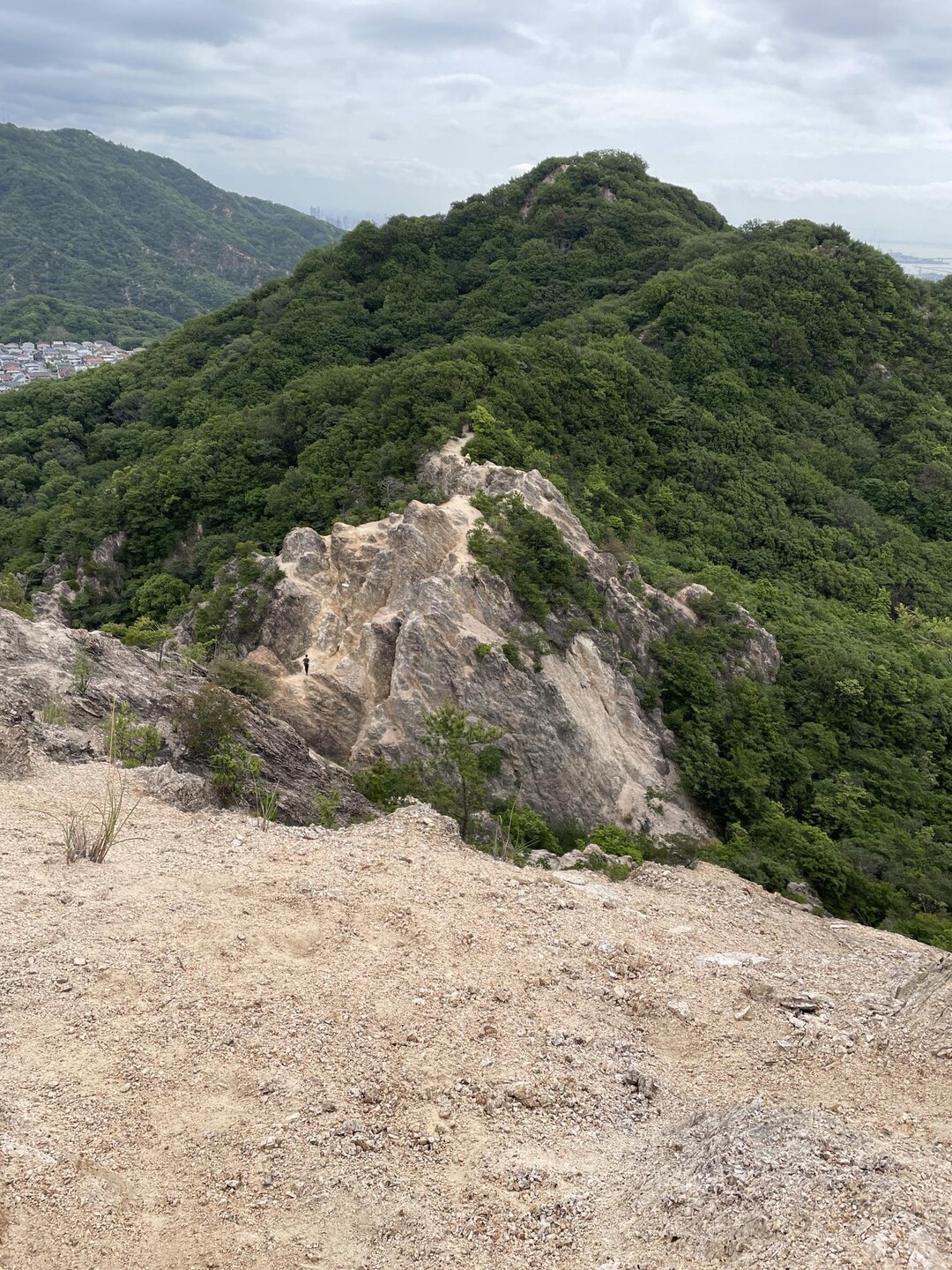 230528 六甲縦走路（須磨浦公園〜桜茶屋） / もぃさんさんのウォーキングの活動データ | YAMAP / ヤマップ