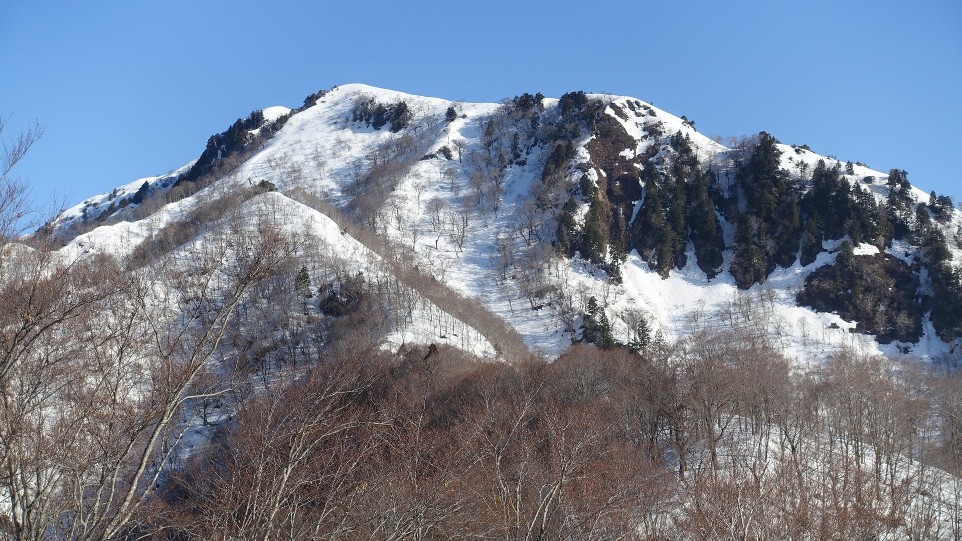 若丸山 / TJさんの冠山・金草岳の活動日記 | YAMAP / ヤマップ