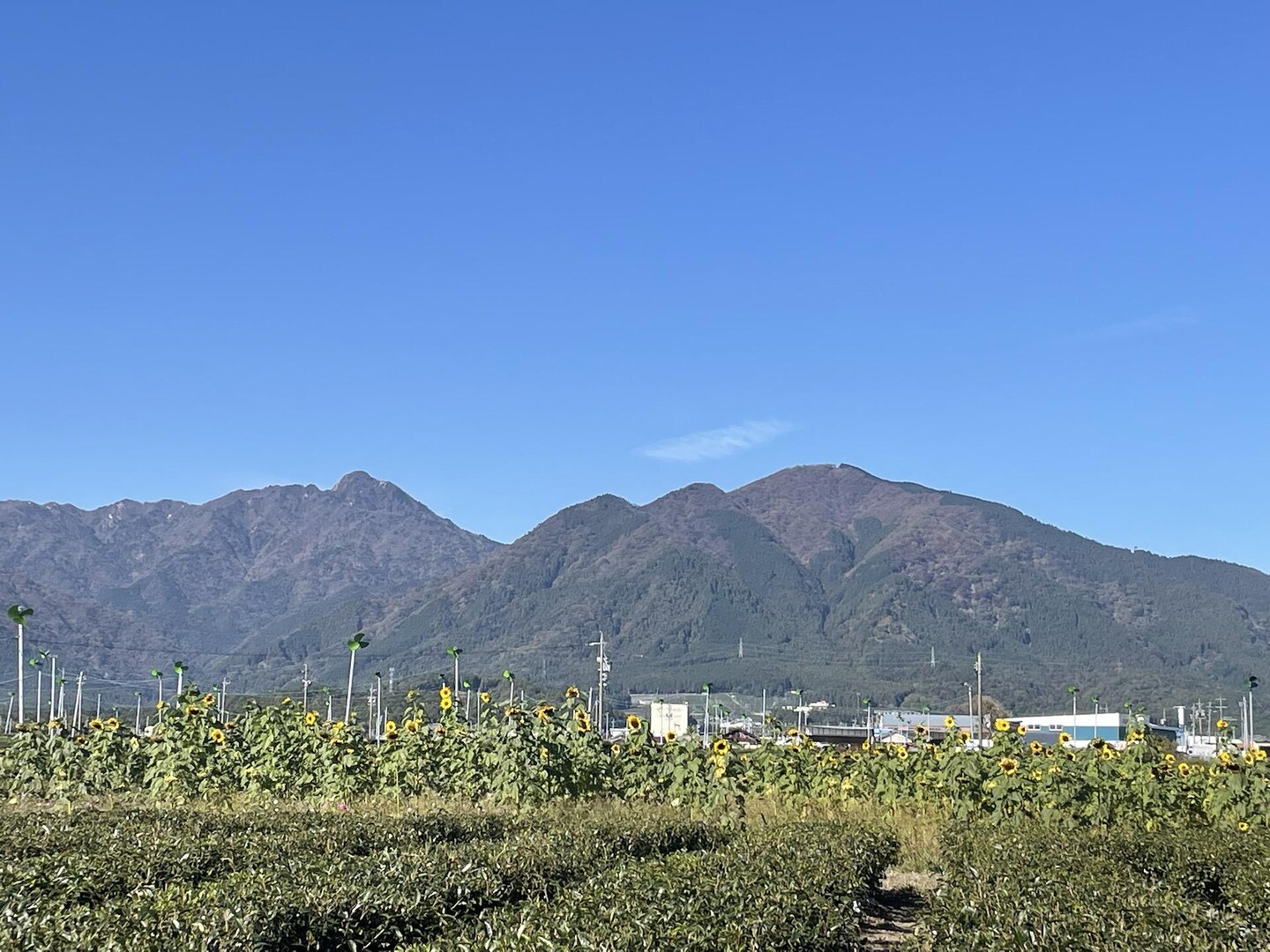 雲母峰Ⅱ峰・雲母峰・雲母西峰・P791 / HuiMegさんの入道ヶ岳・鎌ヶ岳・仙ヶ岳の活動データ | YAMAP / ヤマップ