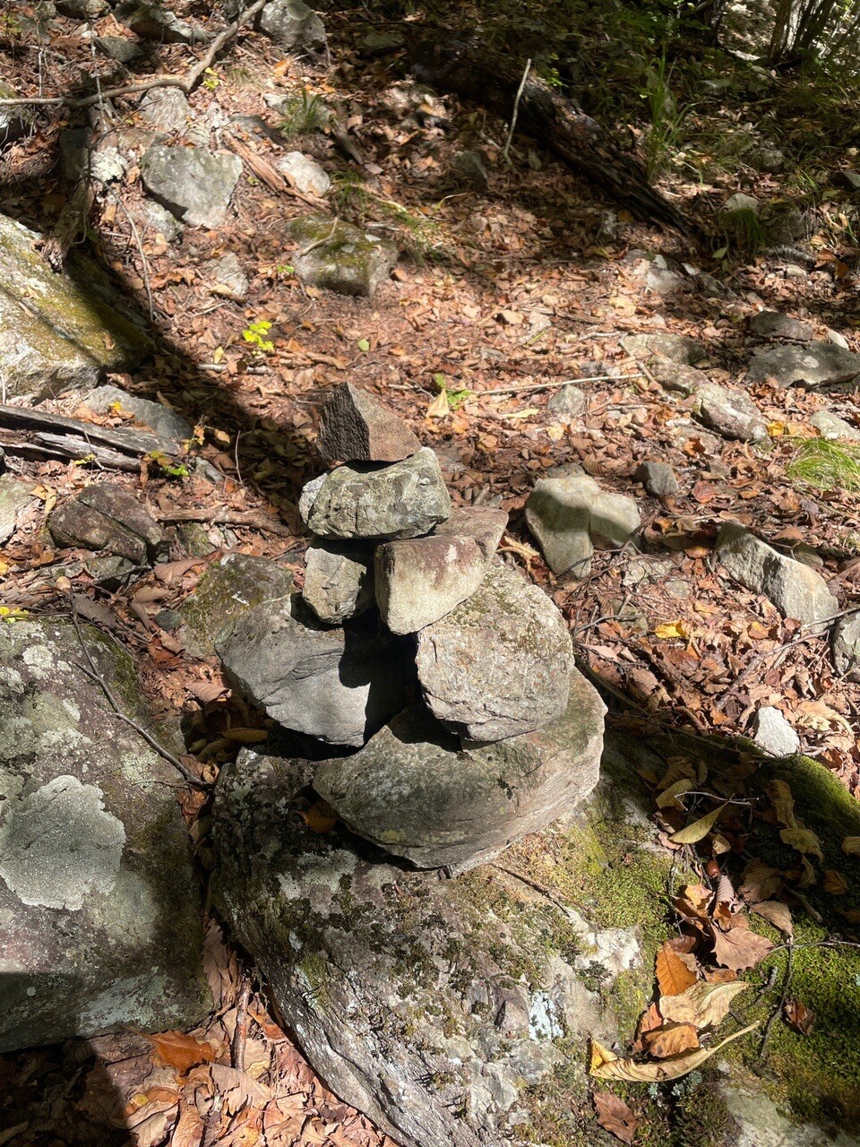 benさんの投稿したフィールドメモ | YAMAP / ヤマップ