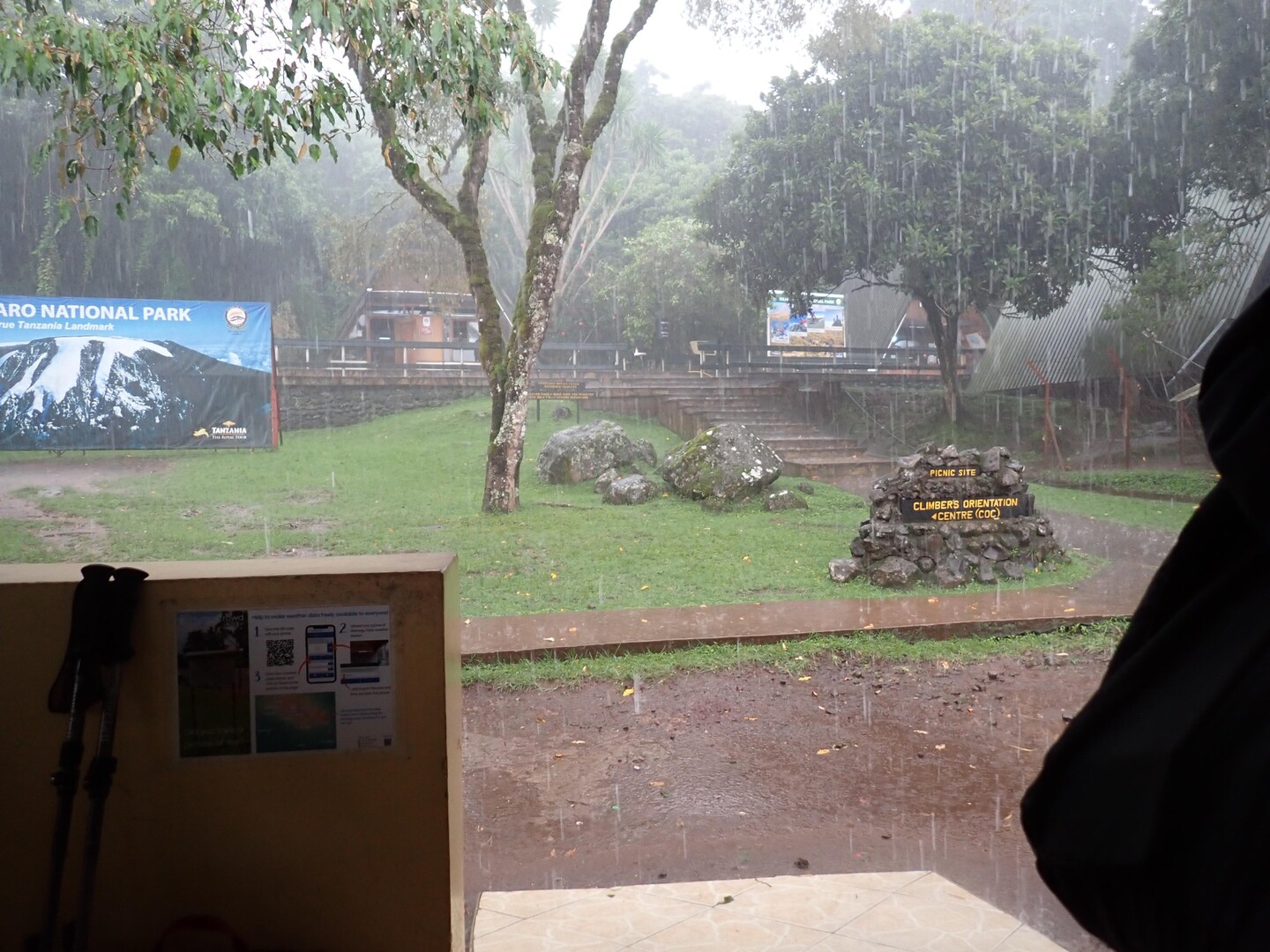 キリマンジャロ-2025-01-31ホロンボハット-マラングゲート / S.nekoさんのキリマンジャロの活動データ | YAMAP / ヤマップ