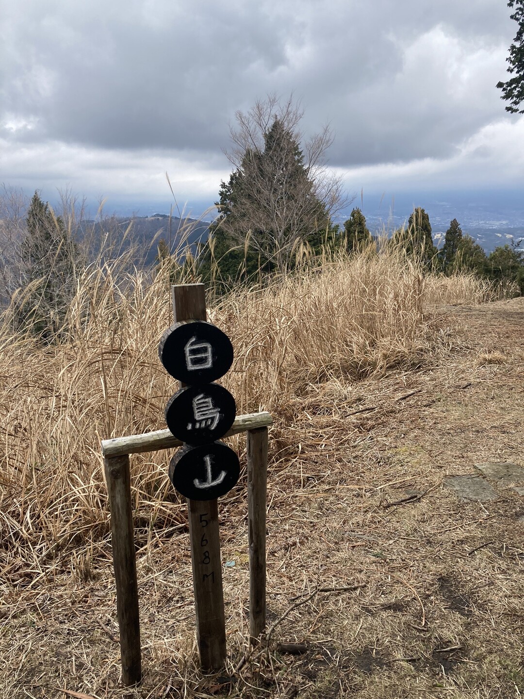 白鳥山 / ELLYさんの白鳥山の活動データ | YAMAP / ヤマップ