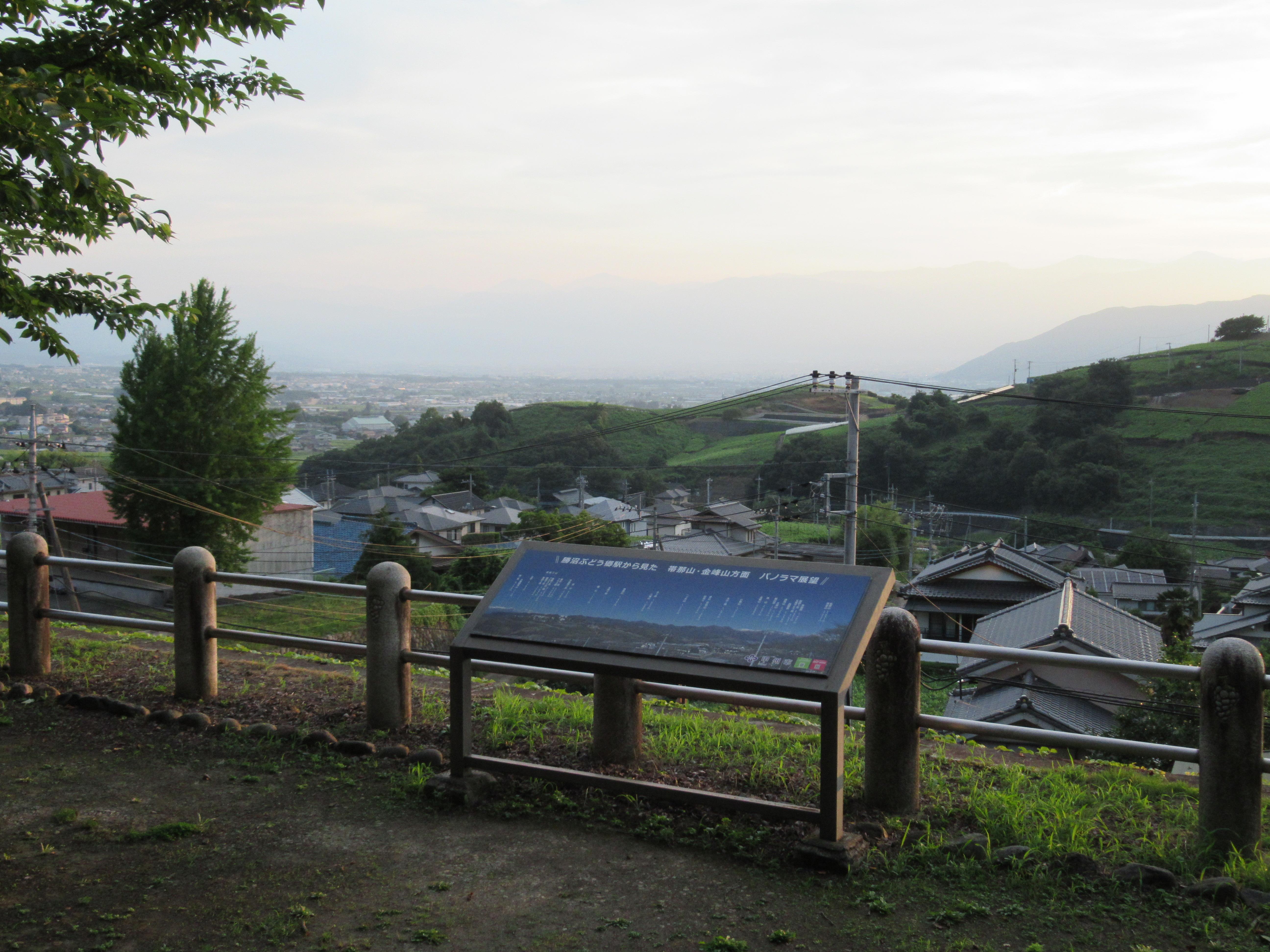 達沢山・蜂城山-2025-06-21 / take-suzuさんの達沢山・蜂城山・茶臼山の活動データ | YAMAP / ヤマップ