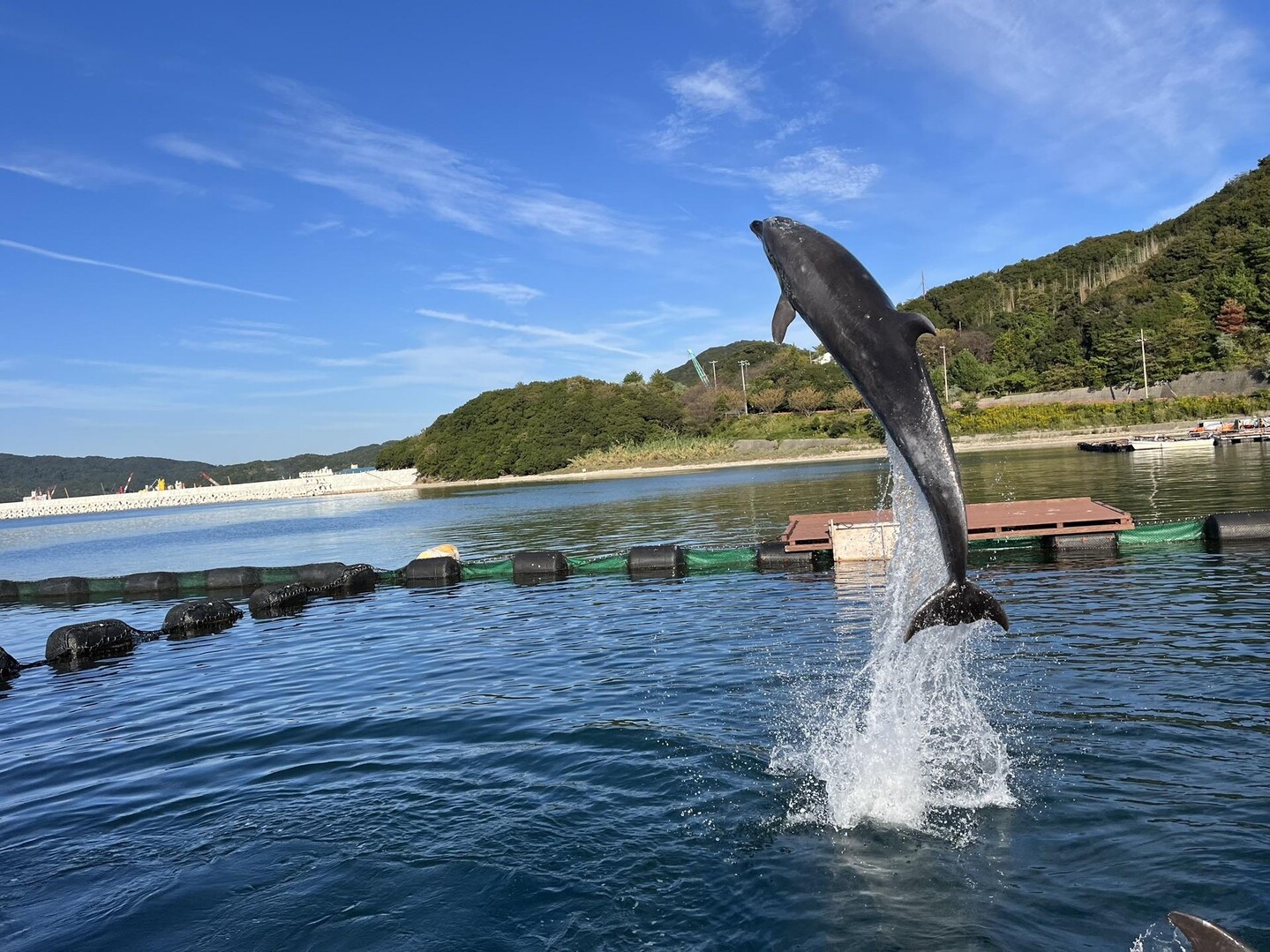 じゃのひれドルフィンファーム / ノbuさんのモーメント | YAMAP / ヤマップ