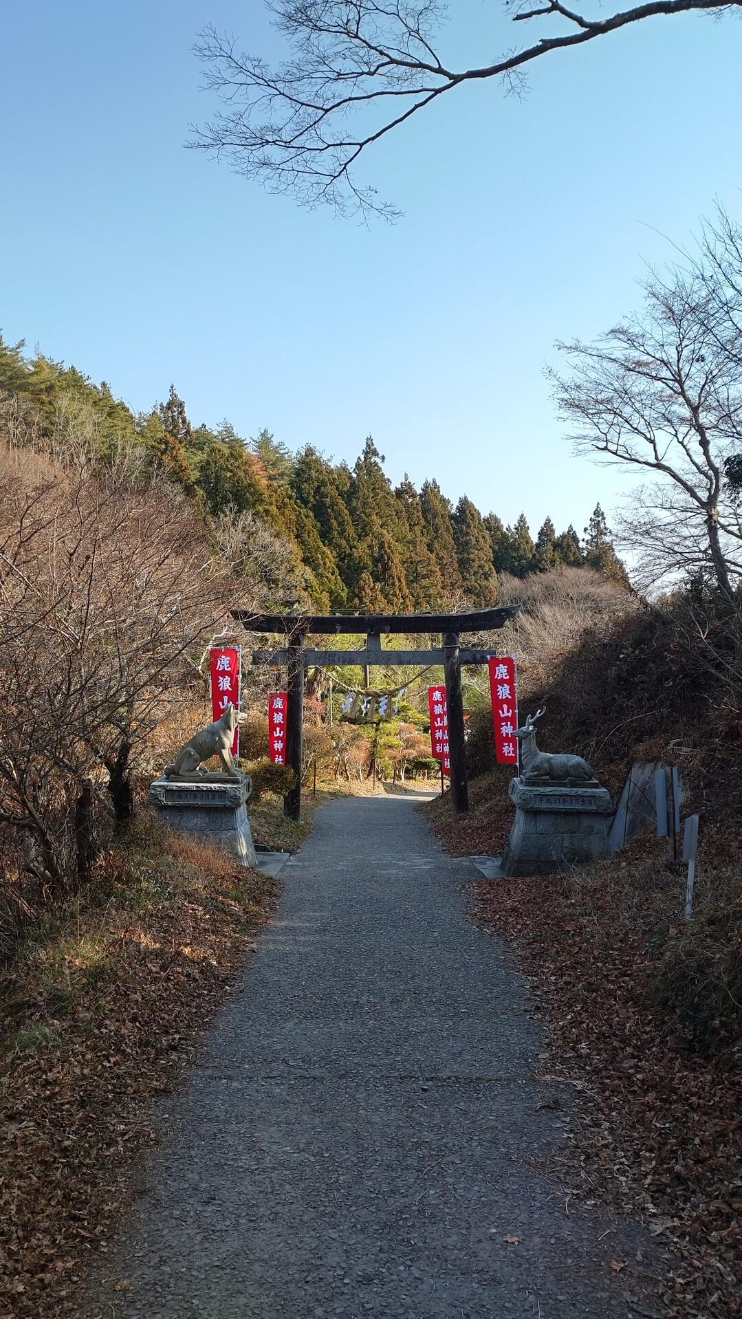 2023.1.8 鹿狼山 / mokoさんの鹿狼山の活動データ | YAMAP / ヤマップ