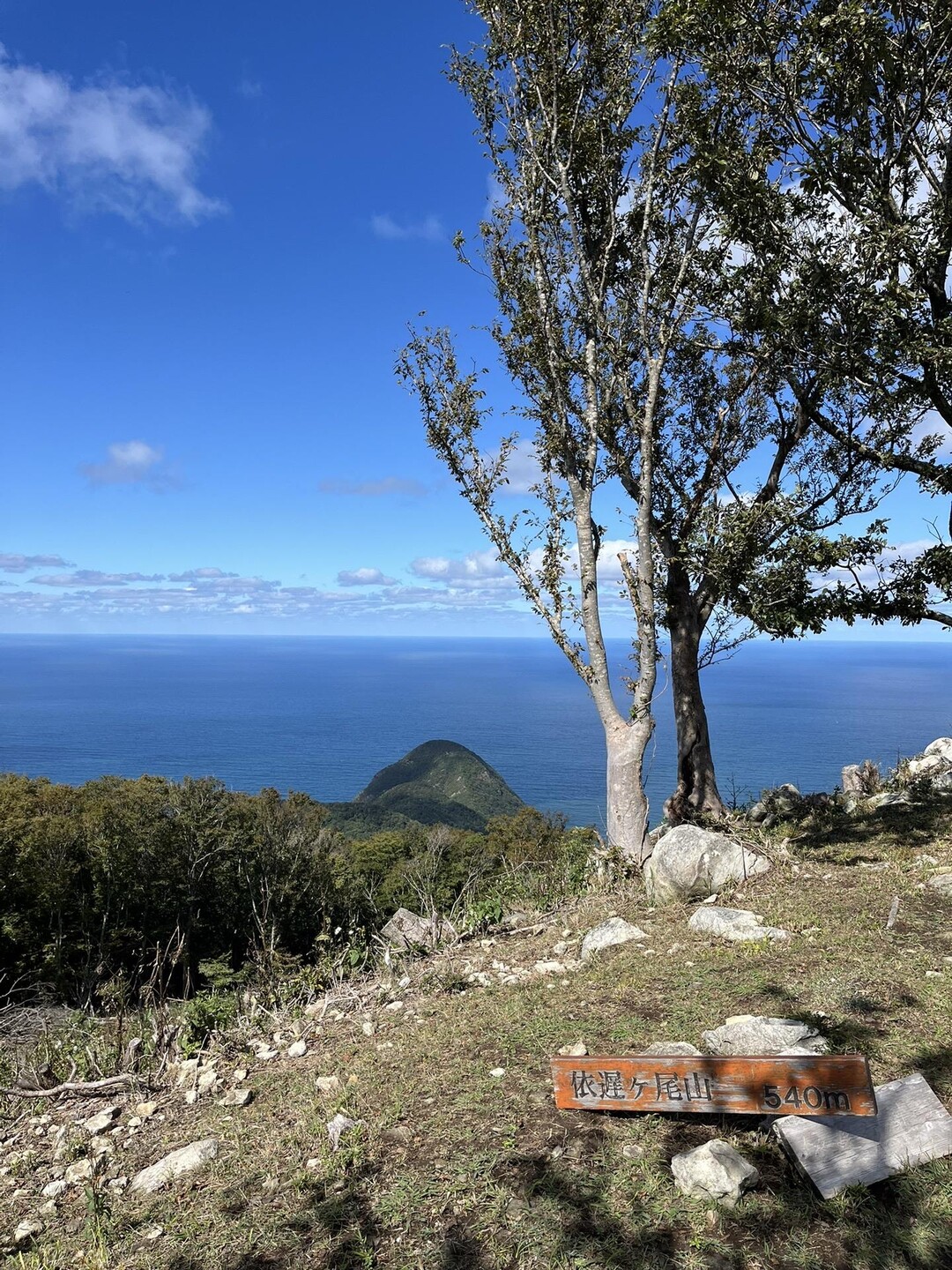 依遅ヶ尾山 / ORIEさんの依遅ヶ尾山の活動データ | YAMAP / ヤマップ