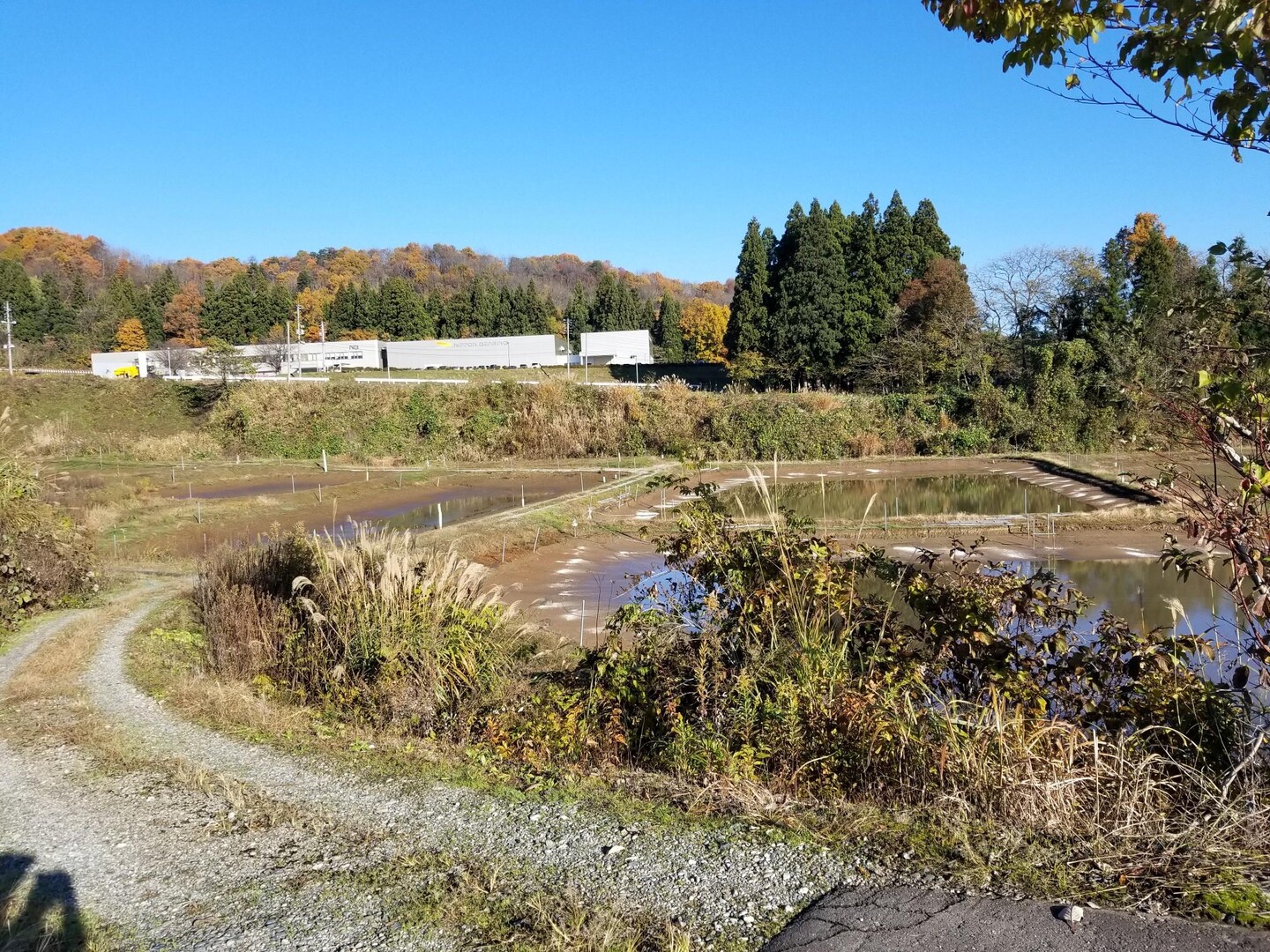 西山山系青空の華 / ta-さんの時水城山・丸山の活動データ | YAMAP / ヤマップ