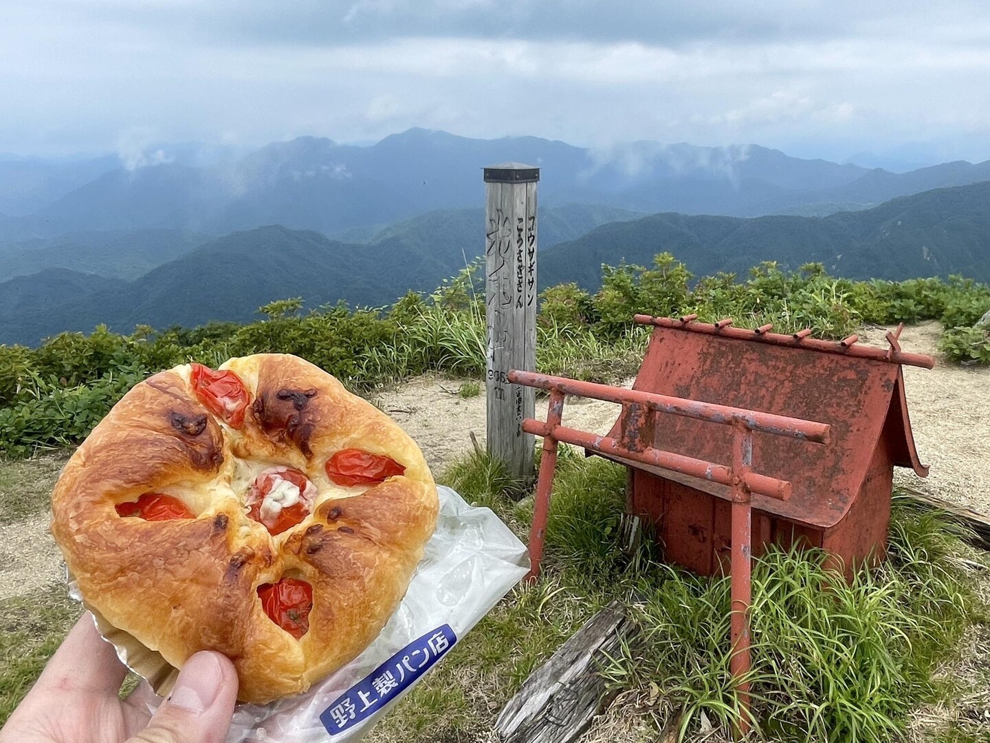 6/10 ゆうなび光兎山取材2 / u.igaさんの光兎山・奥山（虚空蔵峰）の活動データ | YAMAP / ヤマップ