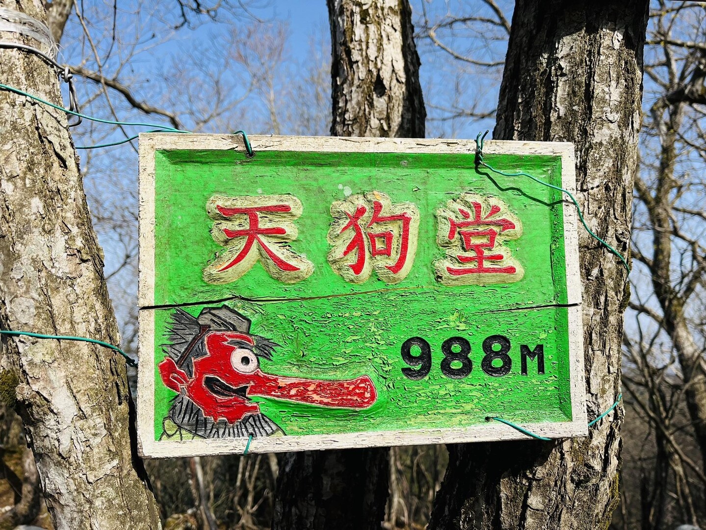 天狗堂988m(鈴鹿10座⑨)ﾘｰﾁ！ / たけさんの天狗堂の活動データ | YAMAP / ヤマップ