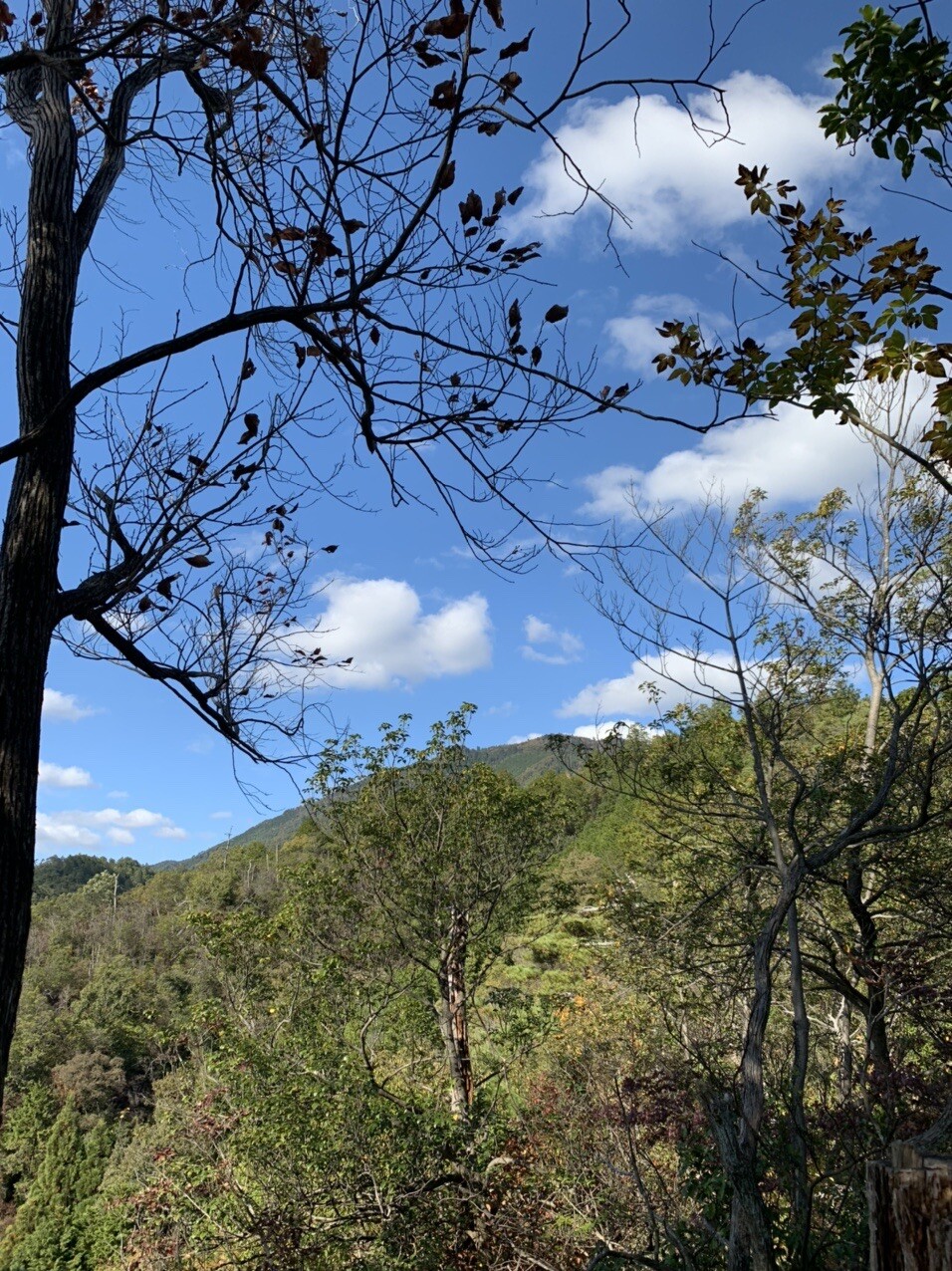 Andytakaさんの投稿したフィールドメモ | YAMAP / ヤマップ