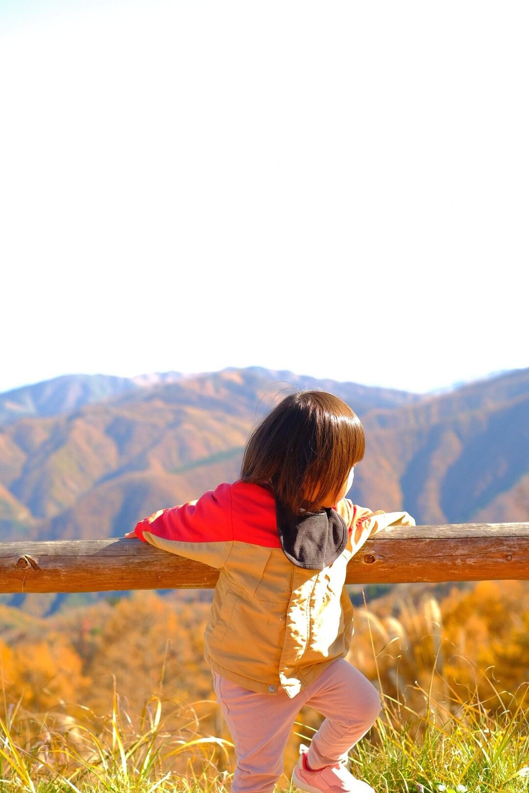 ログは残していませんが阿智村のヘブンスそ... / Masaさんのモーメント | YAMAP / ヤマップ