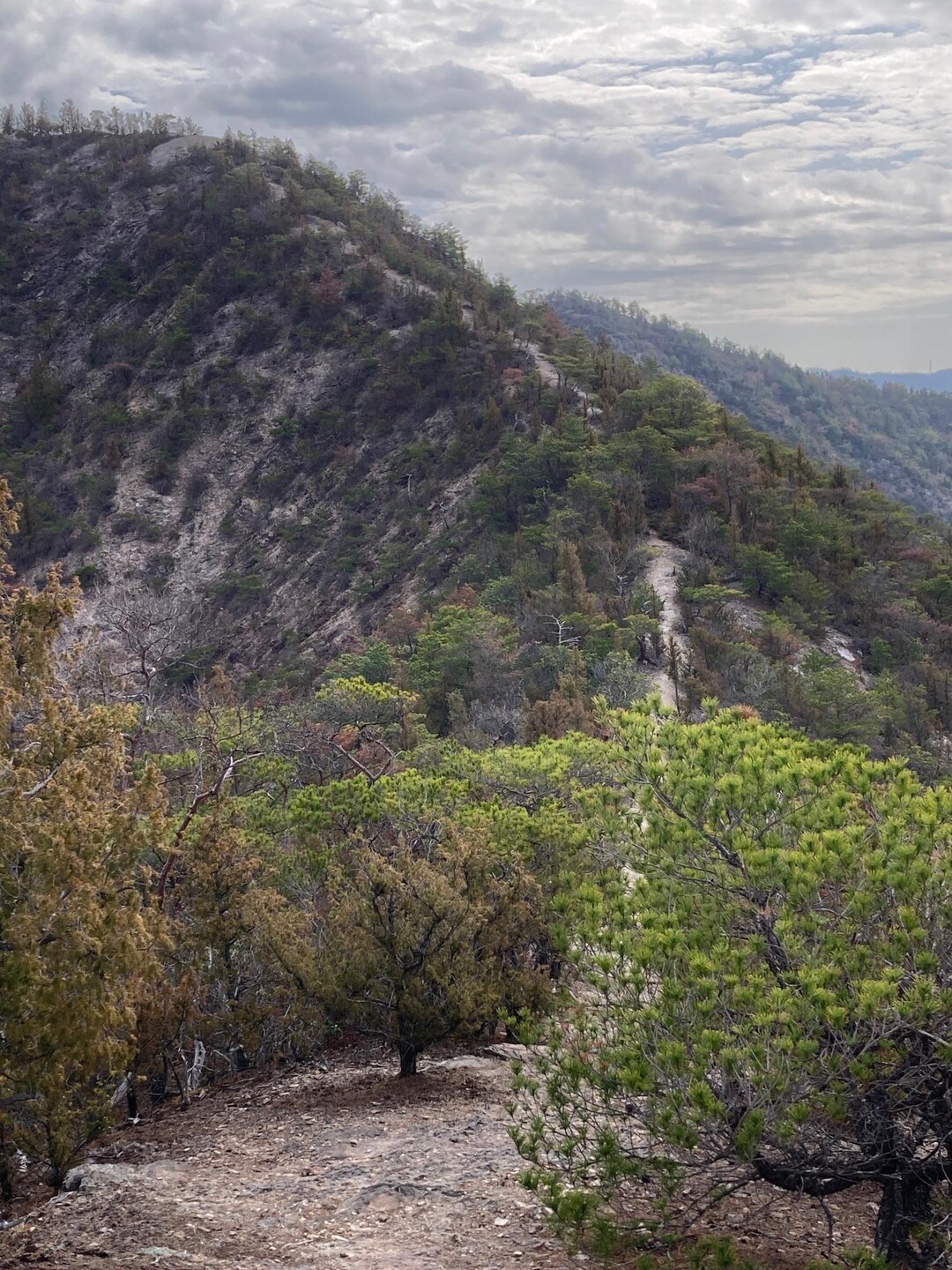 和気富士・観音山・間ノ峰・穂高山・涸沢峰・竜王山・ジャンダルム・奥の峰・剣峰・神ノ上山 / 3104（YUKAKO）さんの和気アルプス・和気富士・神ノ上山の活動日記 | YAMAP / ヤマップ