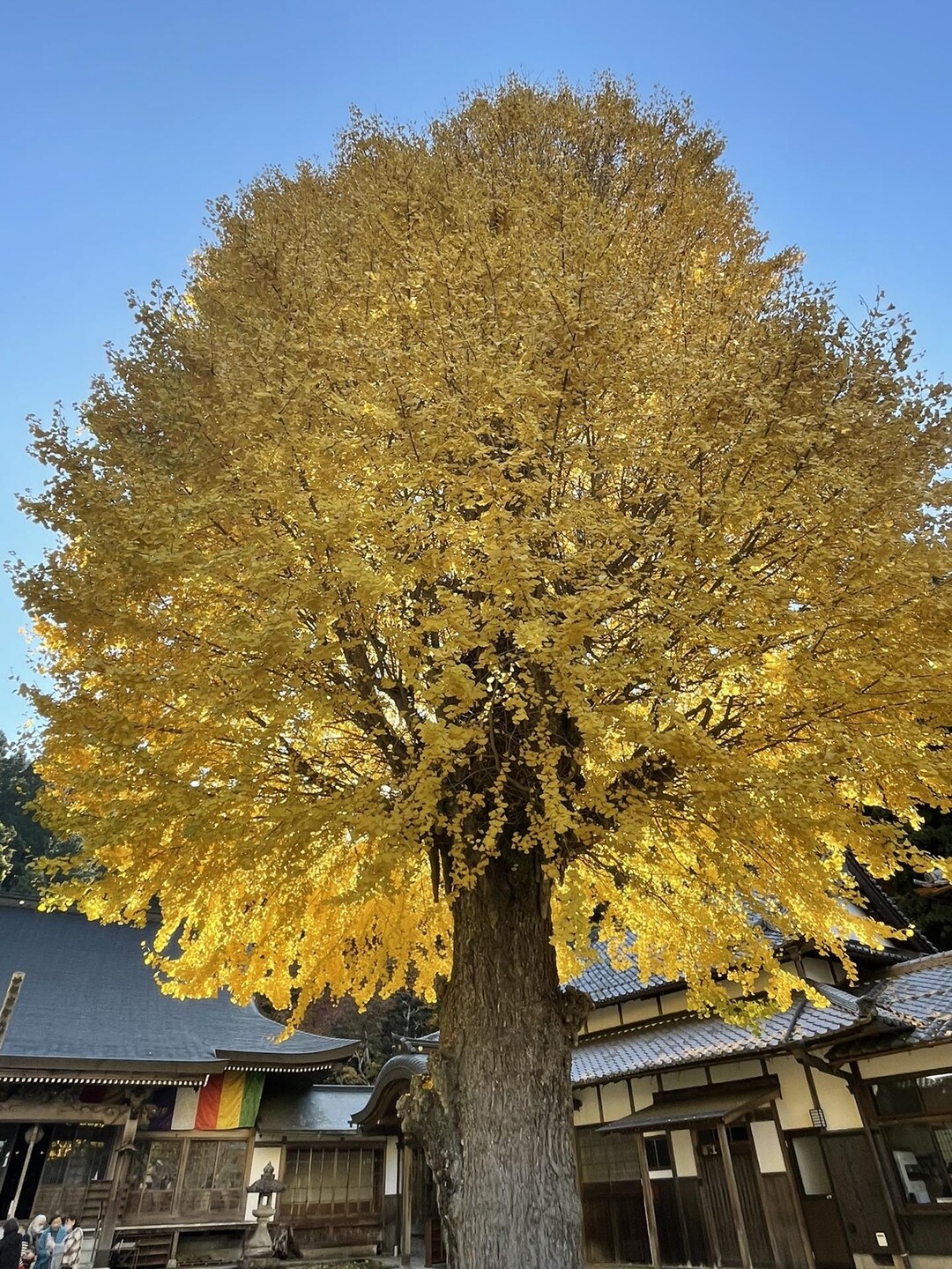 丹波篠山にて / brocken_sさんのモーメント | YAMAP / ヤマップ