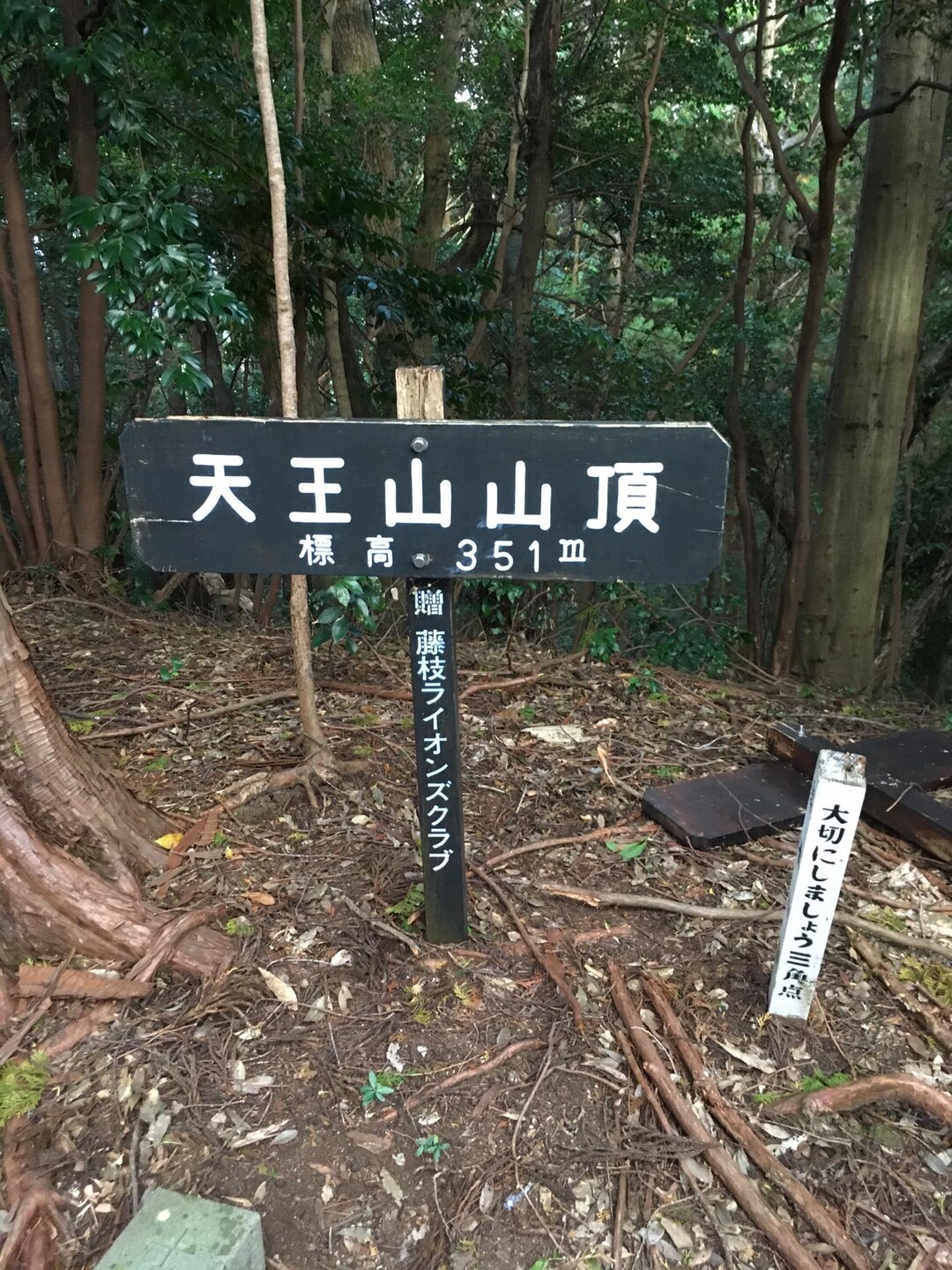 天王山(深南TR•低山GPハント) / SIM ∞ (≡ ≡･χ) さんの城山・石谷山（びく石）の活動データ | YAMAP / ヤマップ