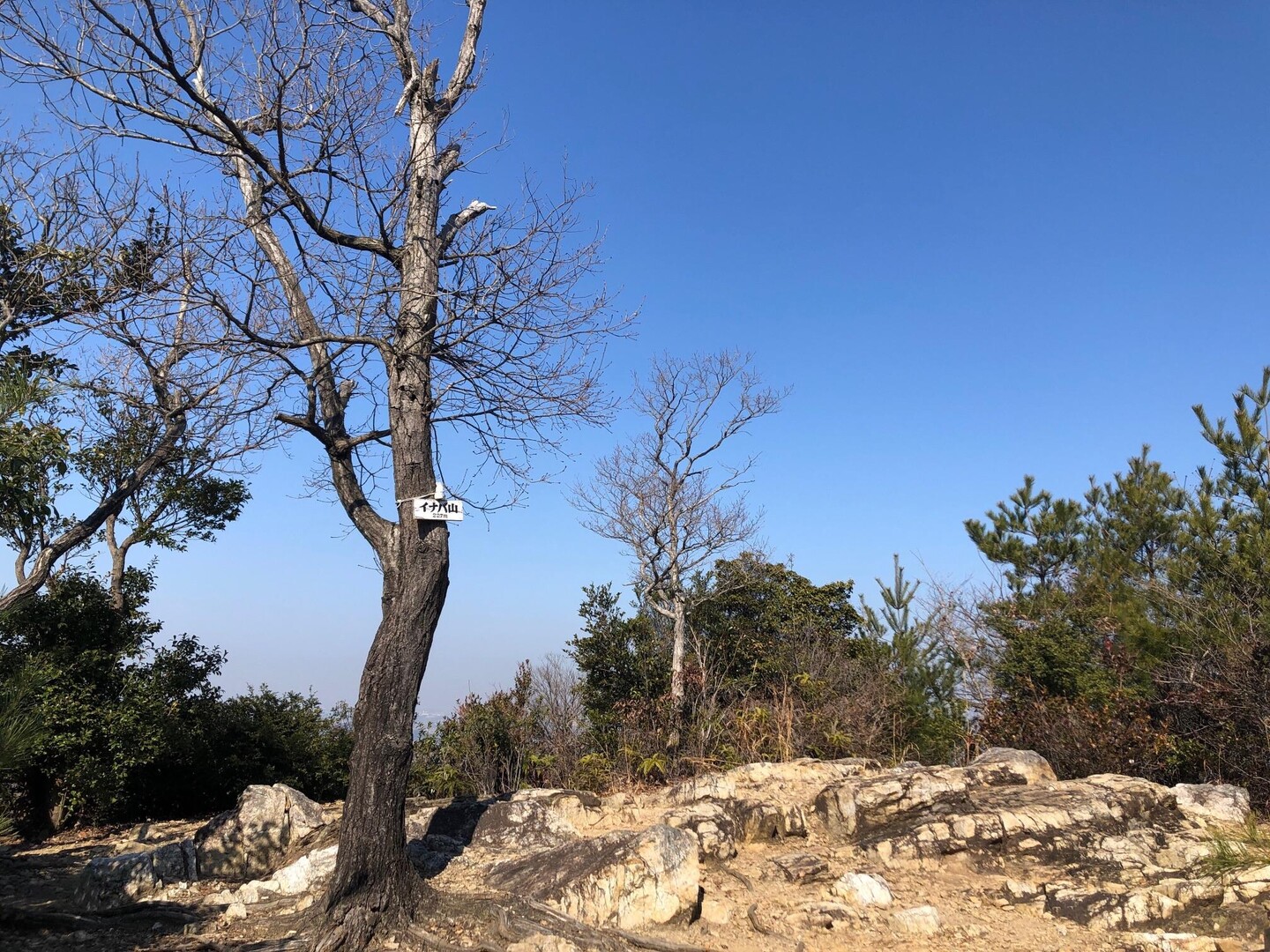 茶臼山・イナバ山 de マッタリ / ♬dongoro♬さんの茶臼山・万灯山の活動データ | YAMAP / ヤマップ