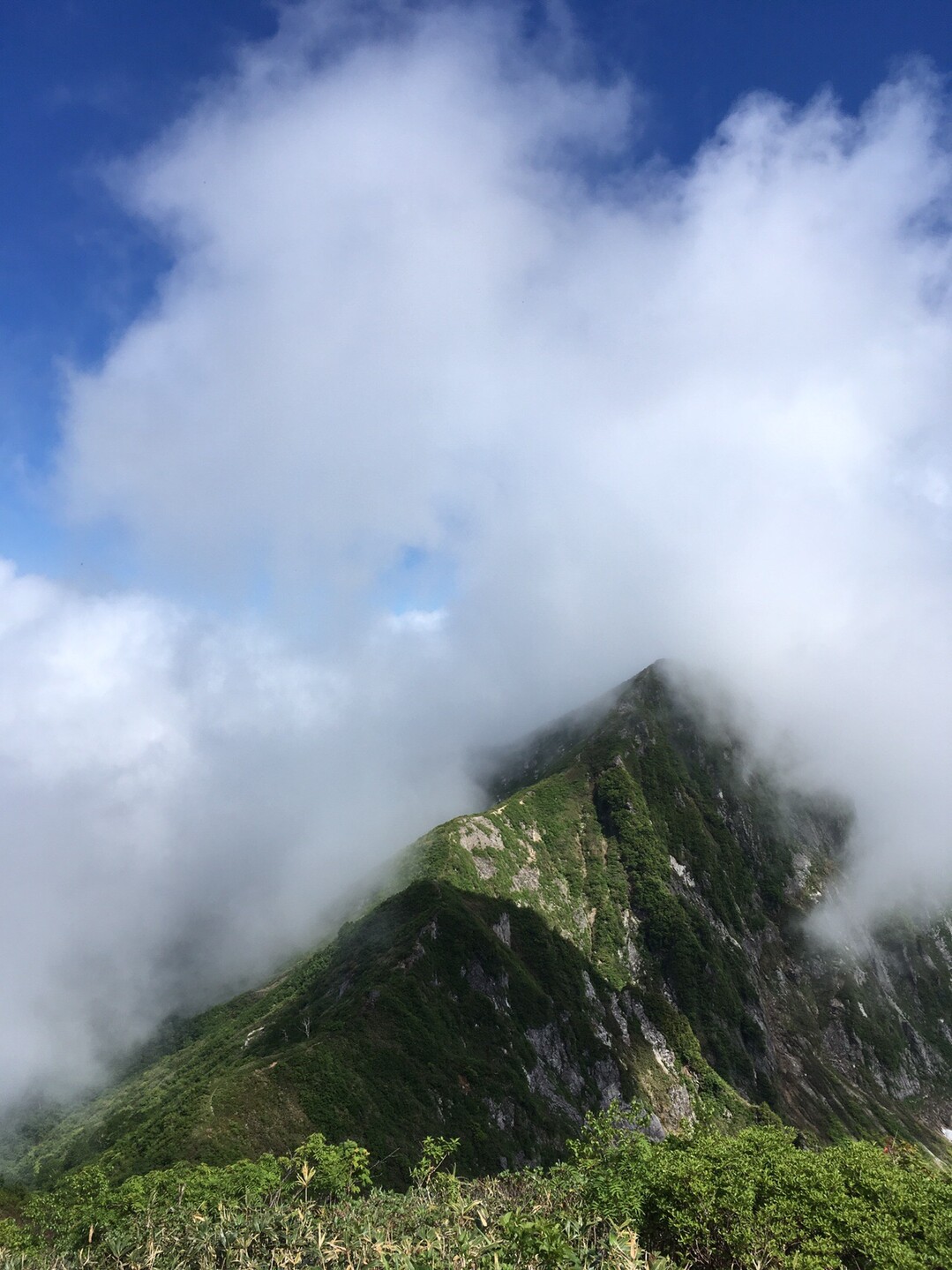 上越のマッターホルン / Holovitzさんの谷川岳・七ツ小屋山・大源太山の活動データ | YAMAP / ヤマップ