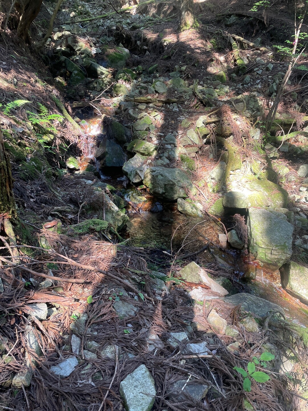 kazeさんの投稿したフィールドメモ | YAMAP / ヤマップ