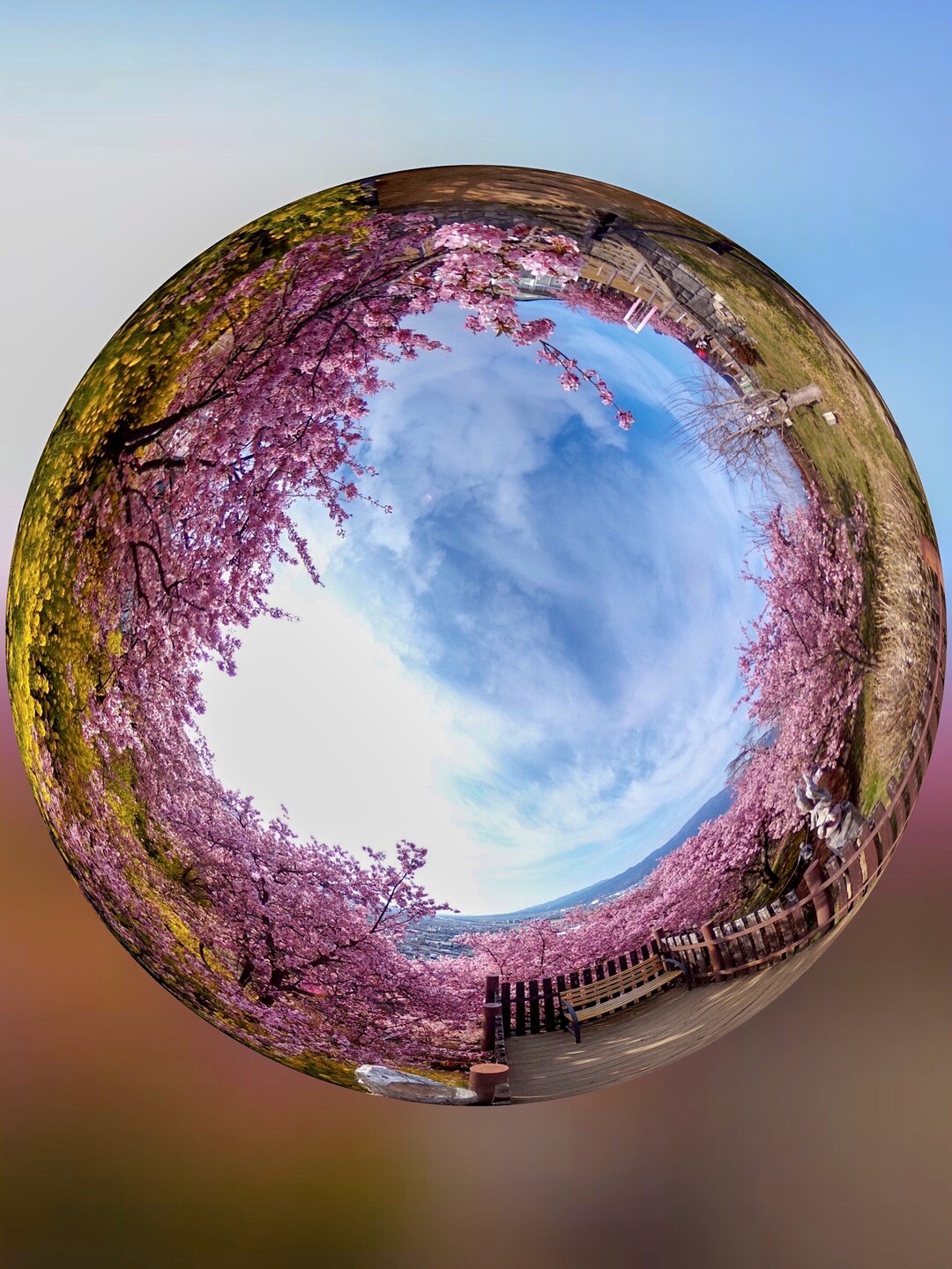 RICOH THETA（360度カメラ）... / kiyoさんのモーメント | YAMAP / ヤマップ