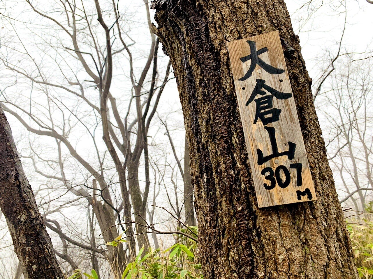 ⛰大倉山 🔖307m 🏷2020.1... / haさんのモーメント | YAMAP / ヤマップ