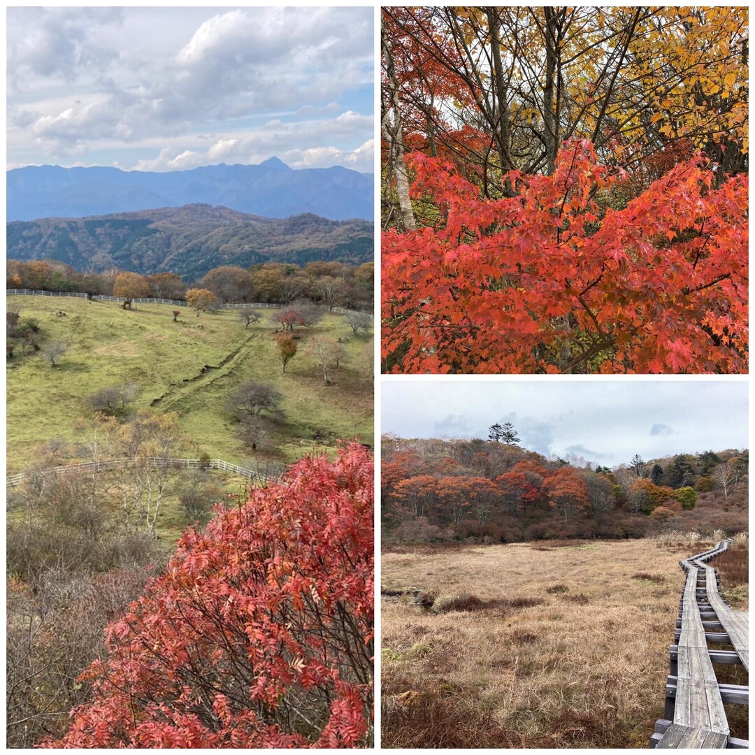 横根山・象の鼻・井戸湿原 / papeさんの横根山・方塞山・井戸湿原の活動データ | YAMAP / ヤマップ