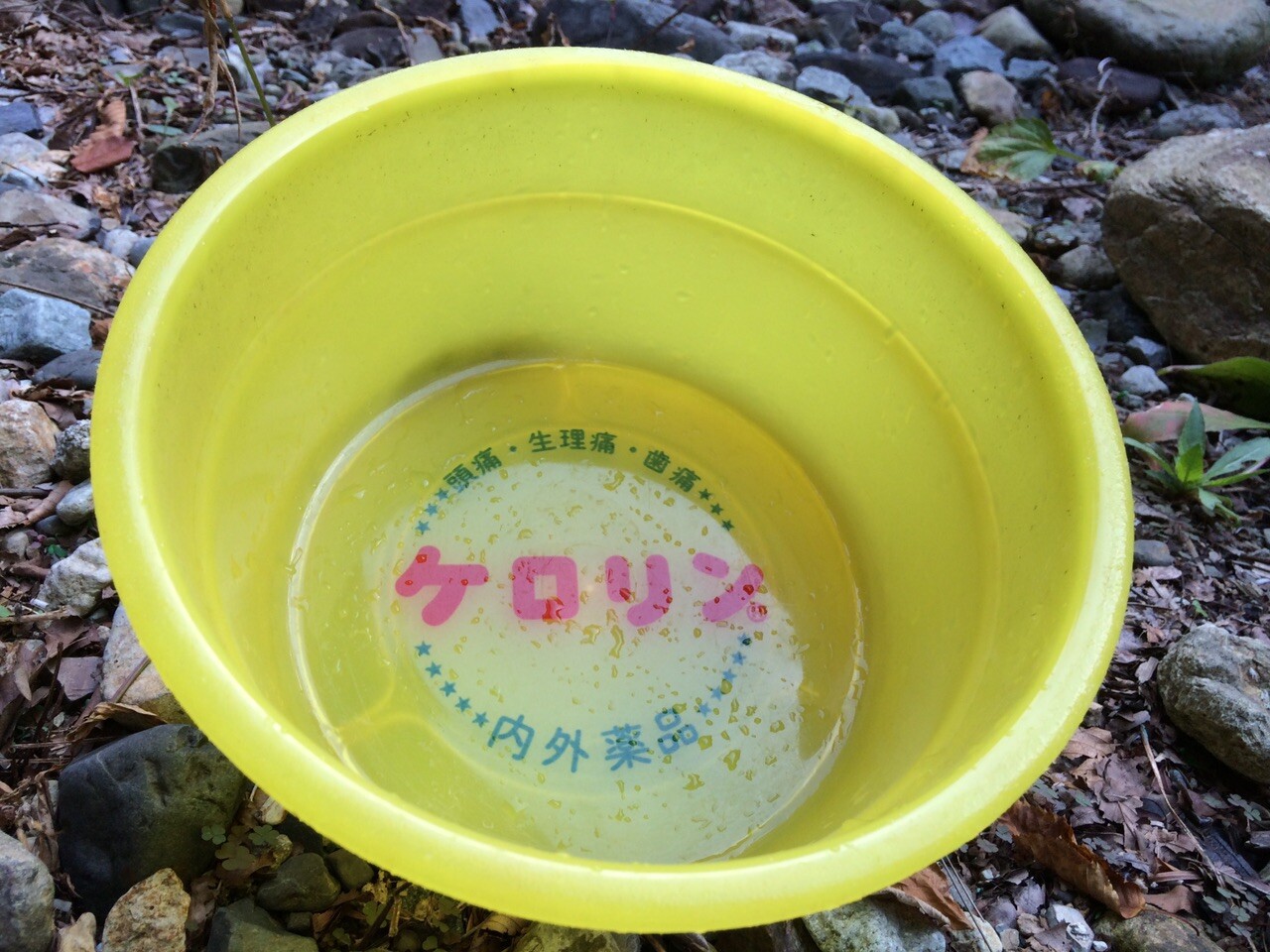 Tommyのページ | YAMAP / ヤマップ