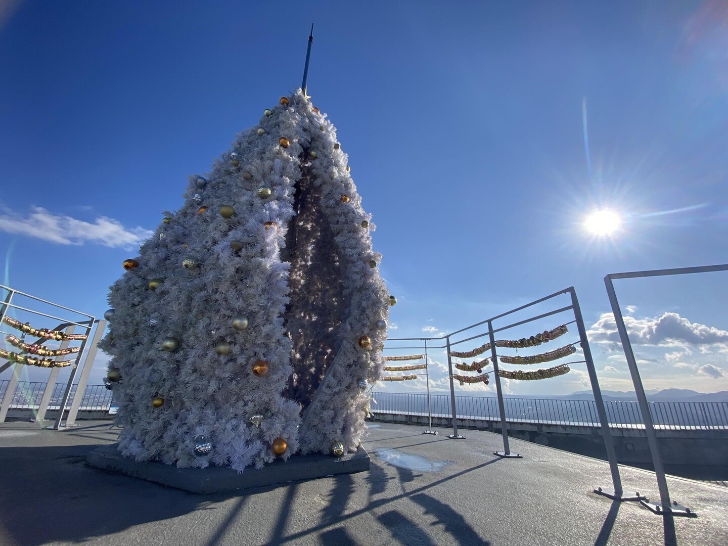 貸切展望台！まさかの悲劇😭#47 / yanさんの藻岩山の活動データ | YAMAP / ヤマップ