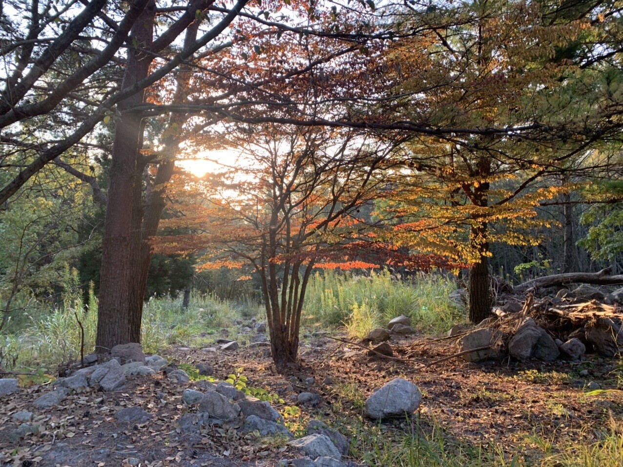 大船山-R3.10.30 / ジャンダルムさんの九重山（久住山）・大船山・星生山の活動データ | YAMAP / ヤマップ