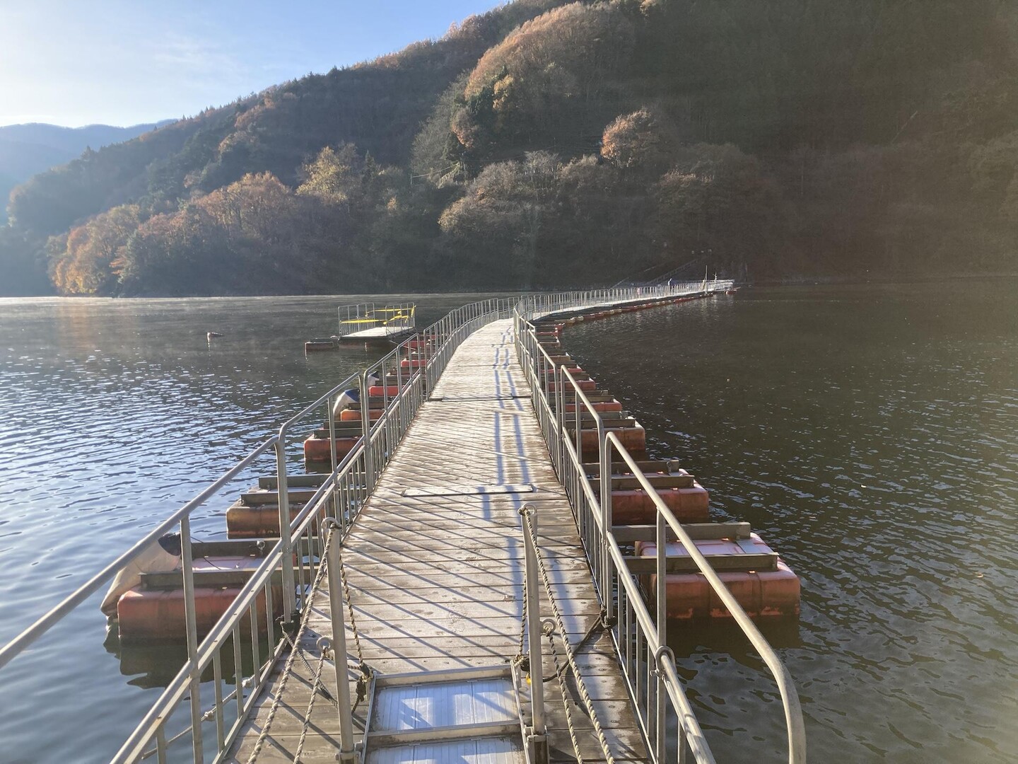 麦山浮橋からヌカザス尾根を経て笹尾根へ / plasmonさんの三頭山・槇寄山・土俵岳の活動データ | YAMAP / ヤマップ