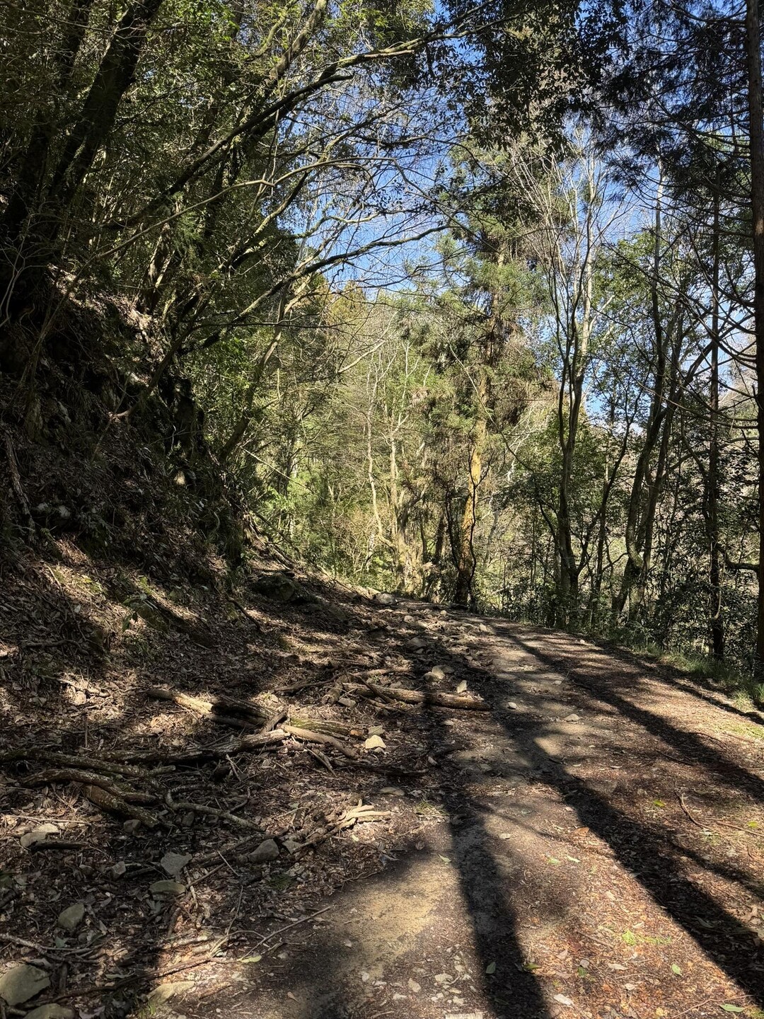 葛城修験第五・六経塚 水の路を造る！ / ほの＆ひろ&BPさんの葛城修験エリアマップ（友ヶ島～和泉山脈周辺）の活動データ | YAMAP / ヤマップ