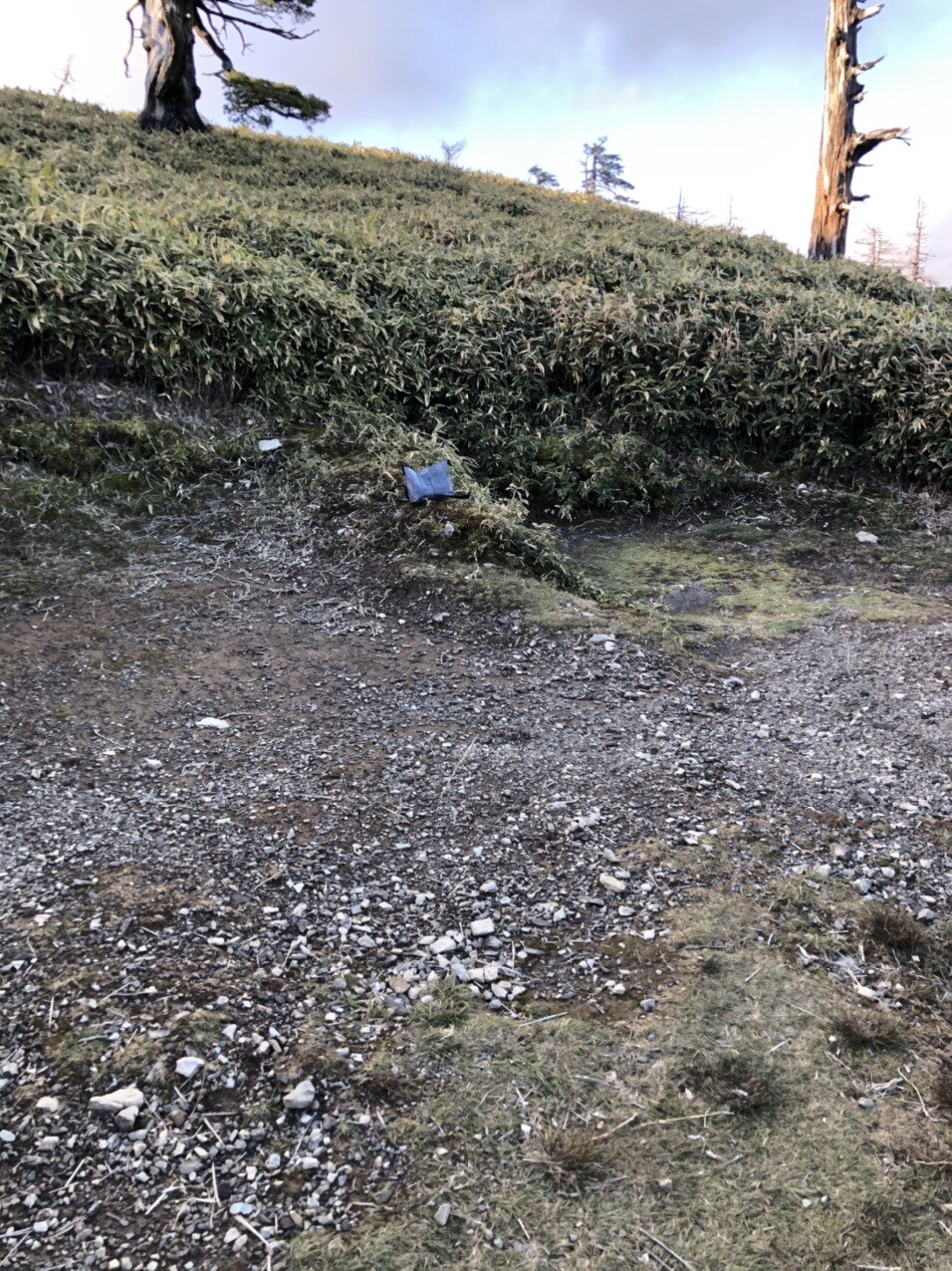 ニシクニさんの投稿したフィールドメモ | YAMAP / ヤマップ