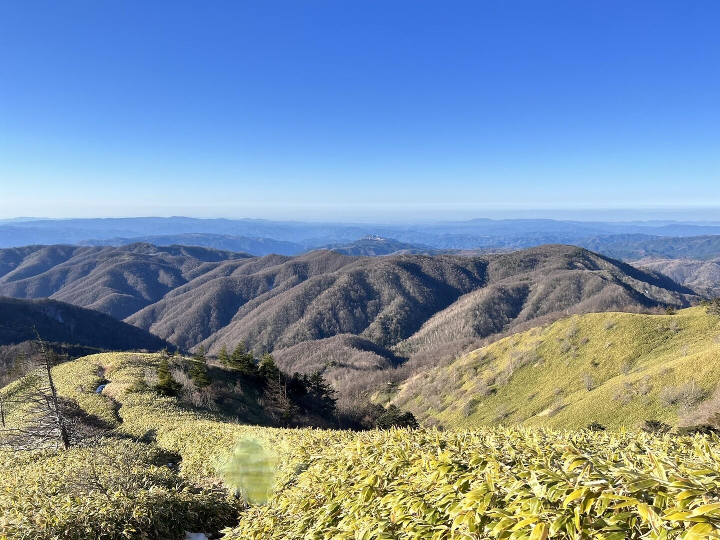 羊の色は？ 大川入山・蛇峠山 / harusan ~さんの蛇峠山の活動データ | YAMAP / ヤマップ
