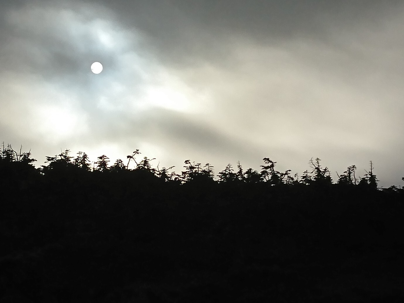 Is it the moon or th... / H.Kashiさんのモーメント | YAMAP / ヤマップ