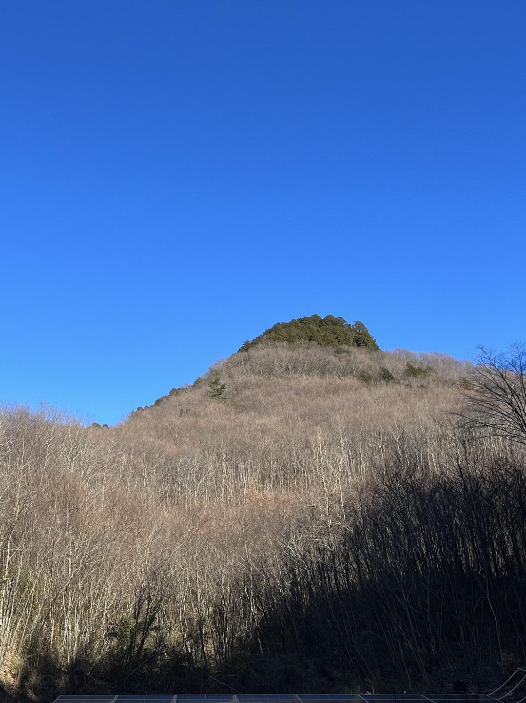 八瓶山-2024-01-08 / SKさんの焼森山・鶏足山の活動データ | YAMAP / ヤマップ