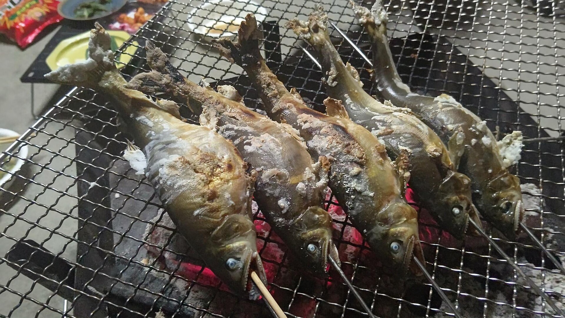 久々のBBQ🍖 鮎と牛タンでビールが進... / Atsushiさんのモーメント | YAMAP / ヤマップ