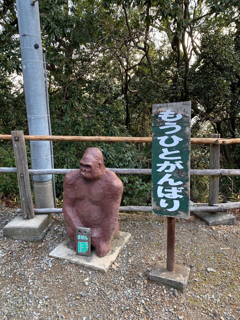 槙尾山周辺うろうろ / iwanemanさんの槇尾山（槙尾山）・和泉葛城山・神於山の活動データ | YAMAP / ヤマップ