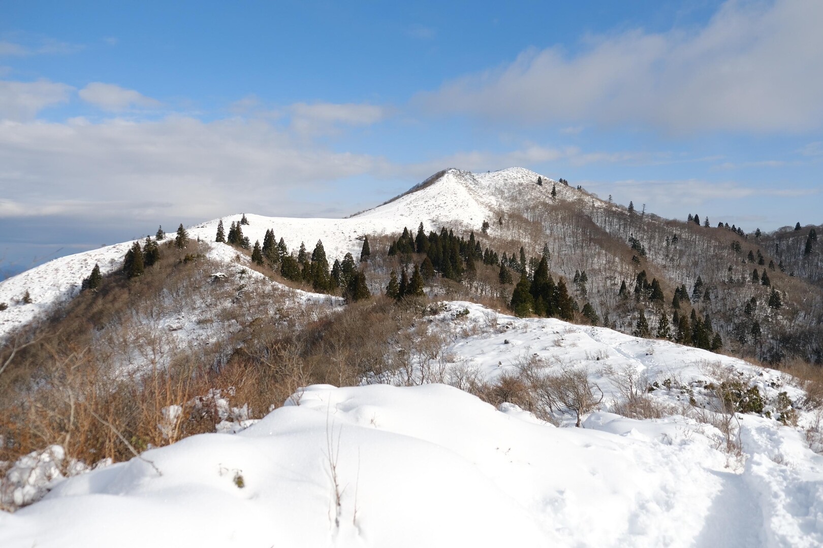 御殿山・武奈ヶ岳 / yosucoさんの比良山地・武奈ヶ岳・釈迦岳の活動データ | YAMAP / ヤマップ