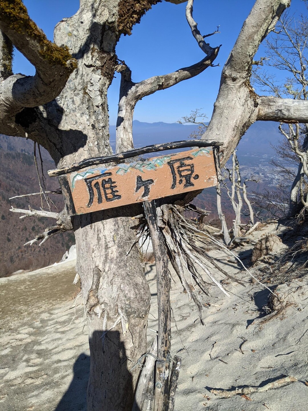 日向山 / y☆shiさんの雨乞岳の活動データ | YAMAP / ヤマップ