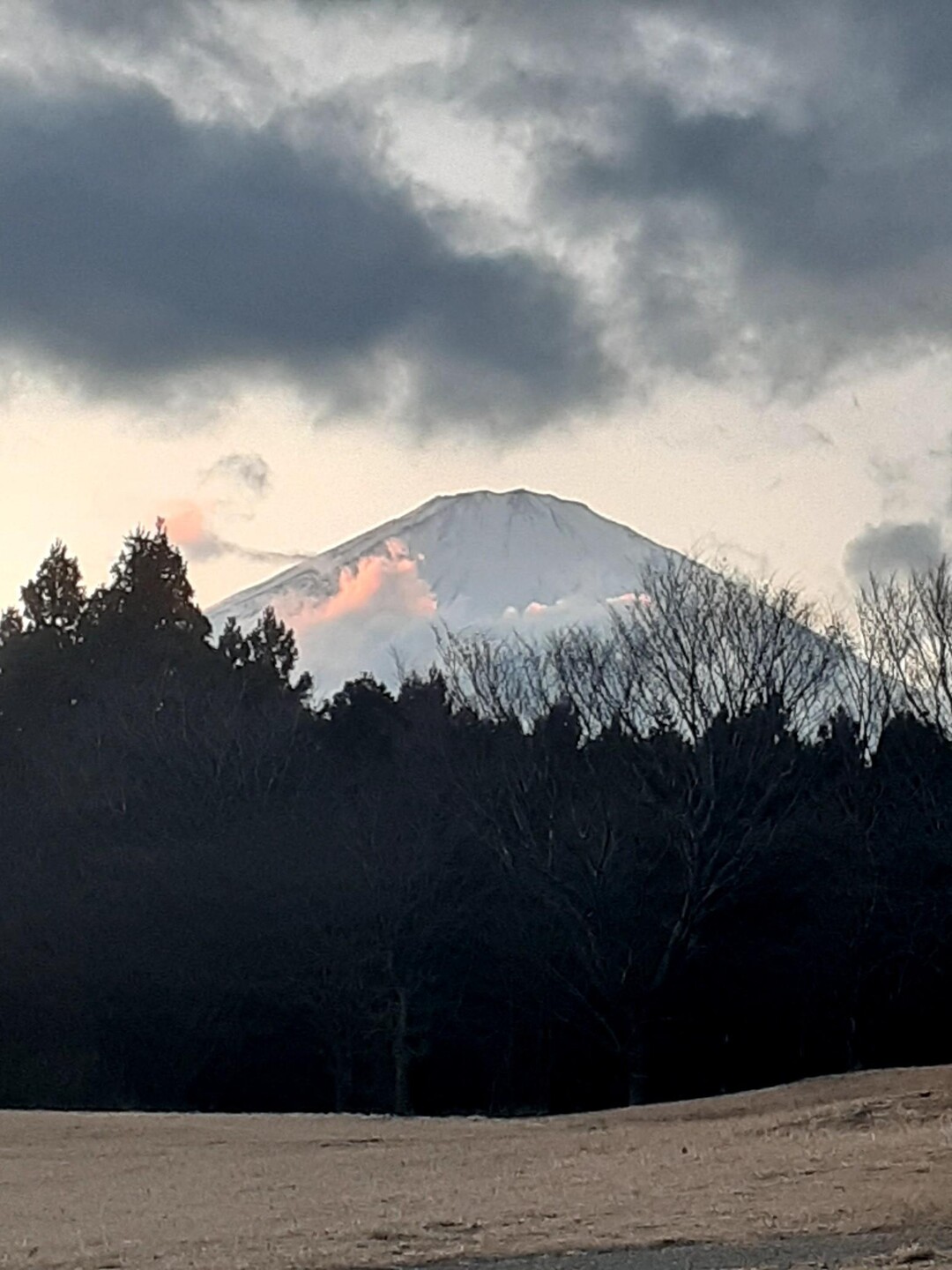 新東名を関東方面へ 車を走らせていると…... / Noriさんのモーメント | YAMAP / ヤマップ