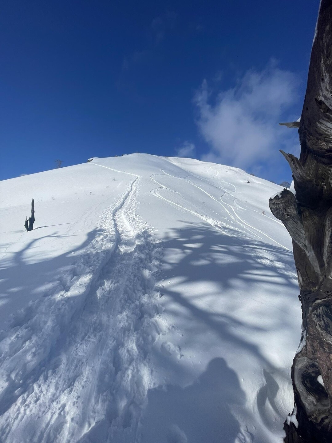 初雪山 深入山 / rskさんの深入山の活動データ | YAMAP / ヤマップ
