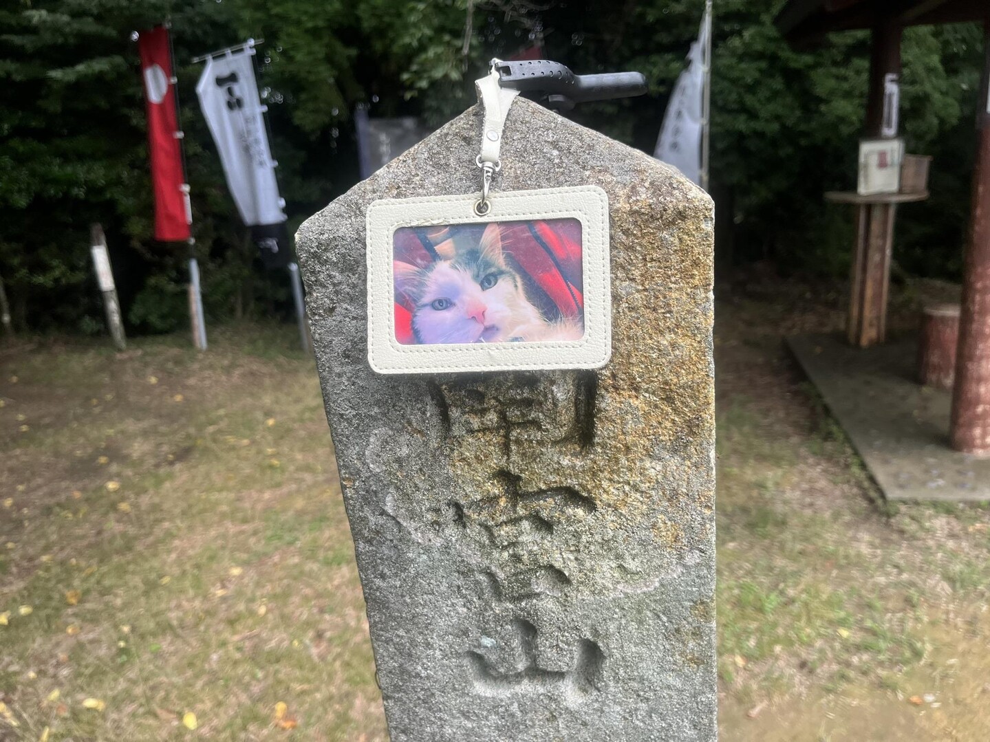 南宮山展望台・なっくんと共にR5-22(通算177) / なっくんさんの南宮山・象鼻山の活動データ | YAMAP / ヤマップ