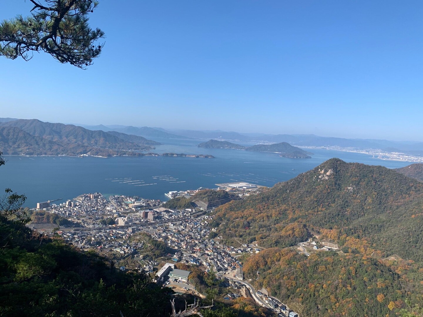 mirereさんの投稿したフィールドメモ | YAMAP / ヤマップ