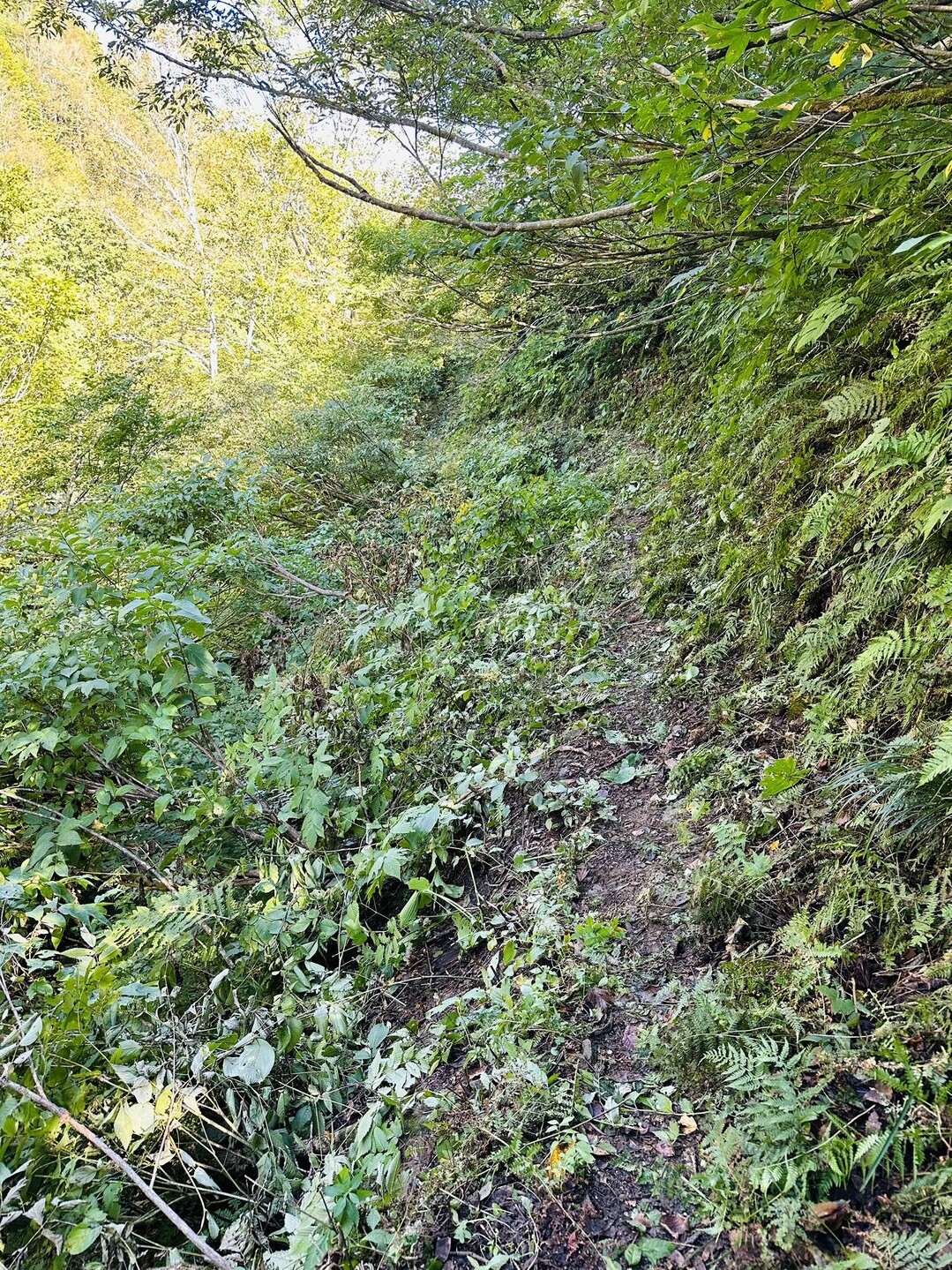 otouさんの投稿したフィールドメモ | YAMAP / ヤマップ