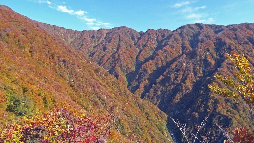 赤津山の思い出 2011年10月19日（水） / ウヅラさんの登山の活動日記 | YAMAP / ヤマップ