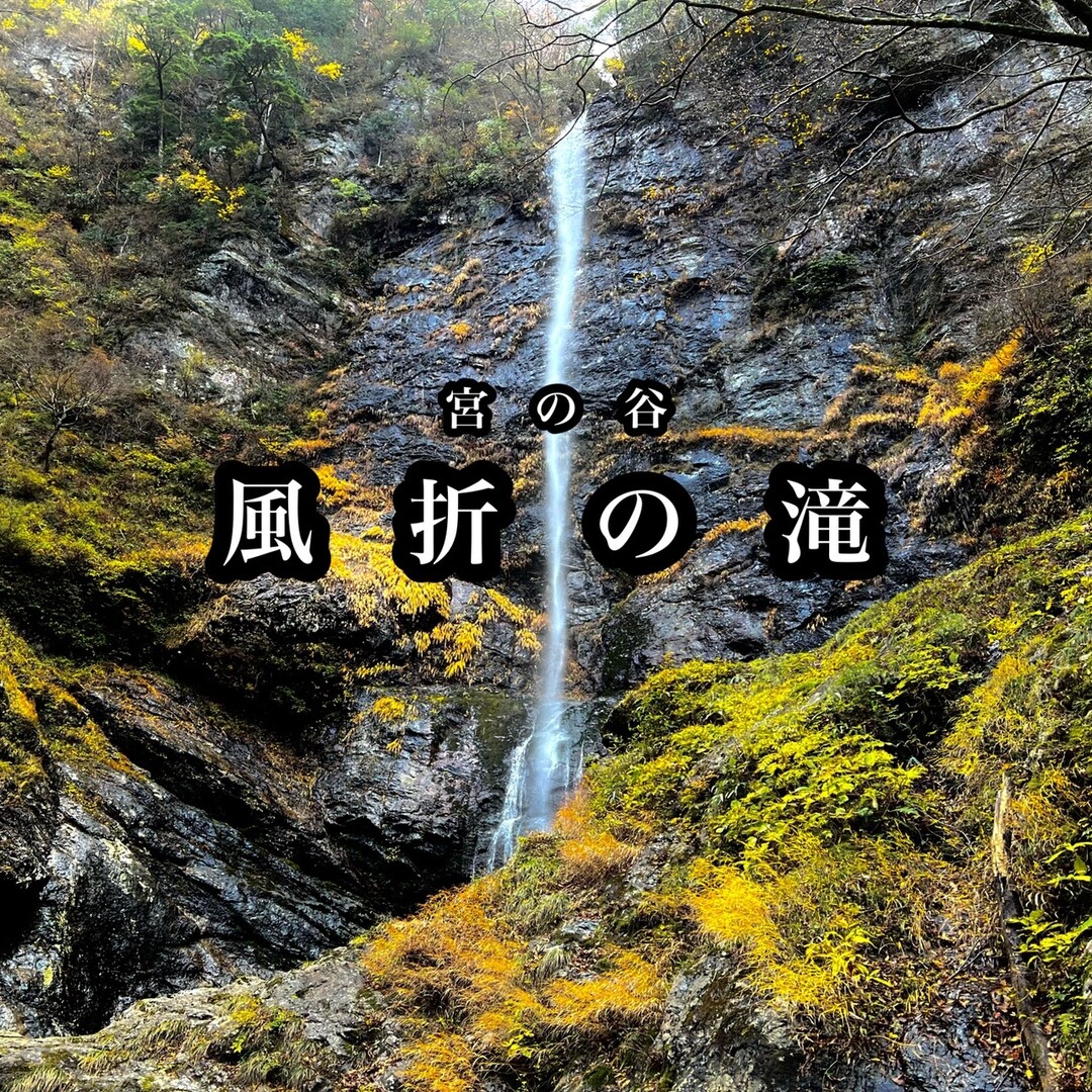 【宮の谷】風折滝 / MAC FILMSさんの桧塚奥峰・明神岳・薊岳の活動データ | YAMAP / ヤマップ