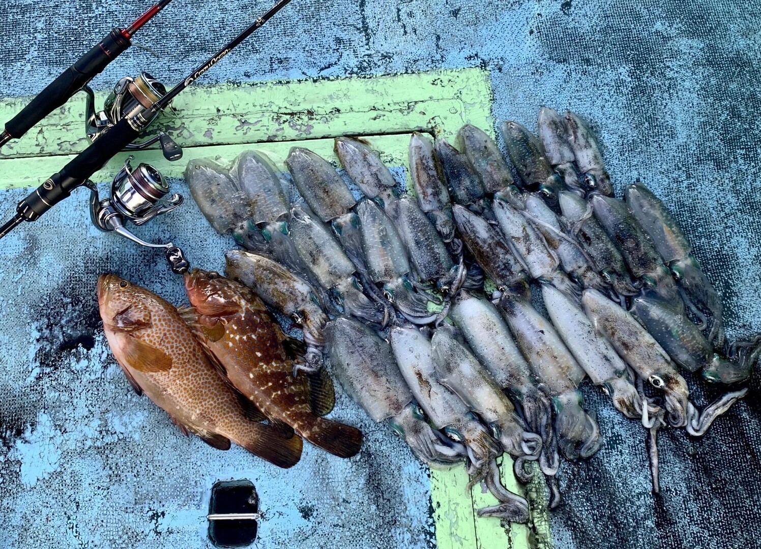 今シーズン111杯のアオリイカを揚げ、冷... / とみ(umip)さんのモーメント | YAMAP / ヤマップ