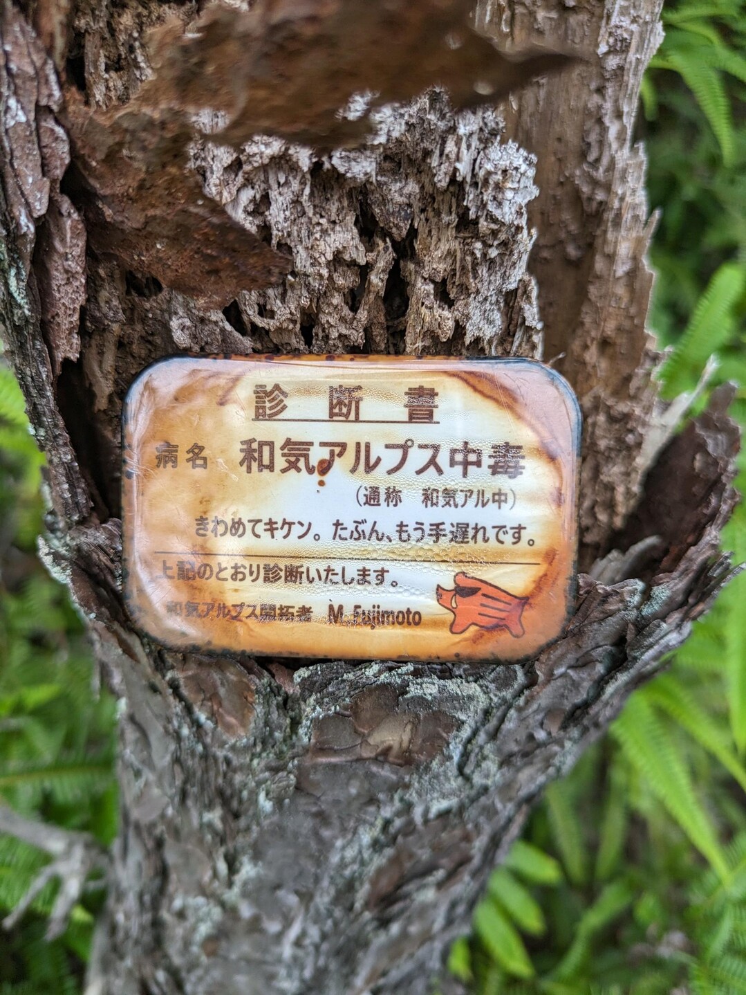 和気のクライミングサーキット / Naさんの和気アルプス・和気富士・神ノ上山の活動データ | YAMAP / ヤマップ